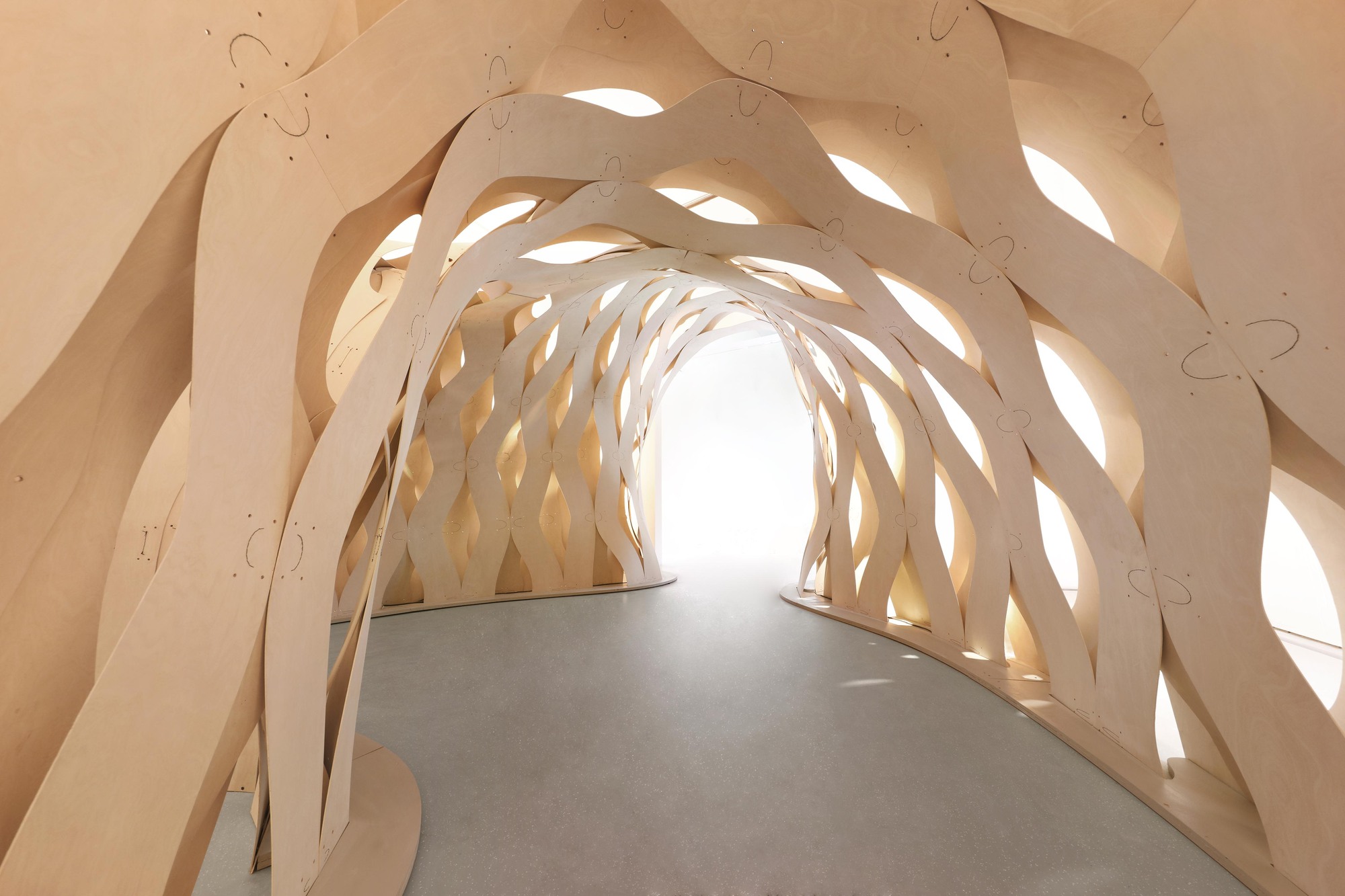 Gallery of Sewn Timber Shell / ICD University of Stuttgart + DDRC ...