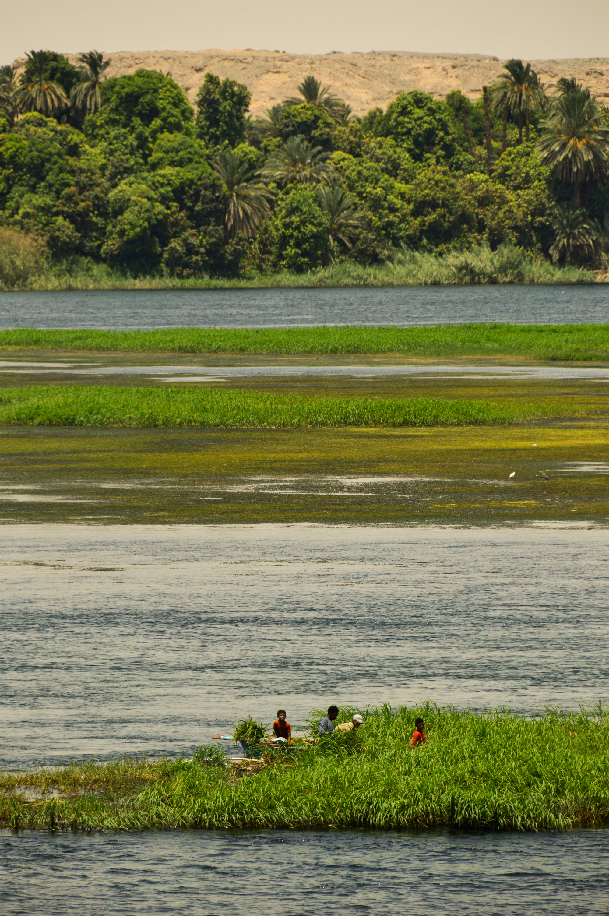 Galería de Cosiendo Egipto con el Nilo - 20