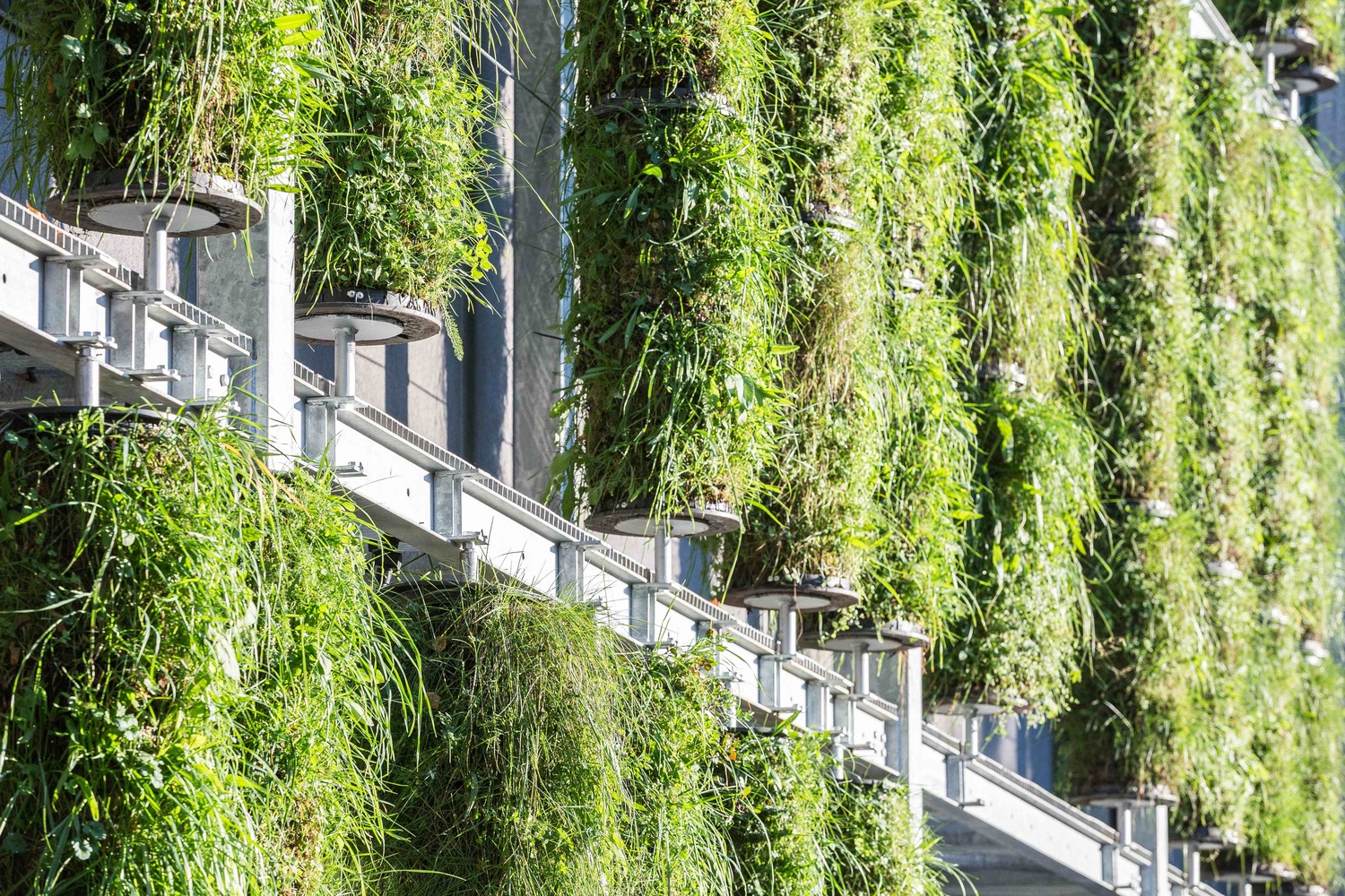 Gallery of VU Botanical Garden Laboratory / Paleko architektu studija - 15