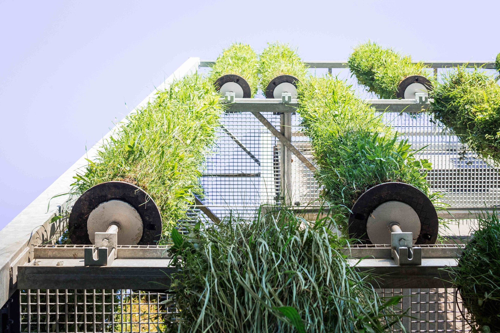 Gallery of VU Botanical Garden Laboratory / Paleko architektu studija - 4