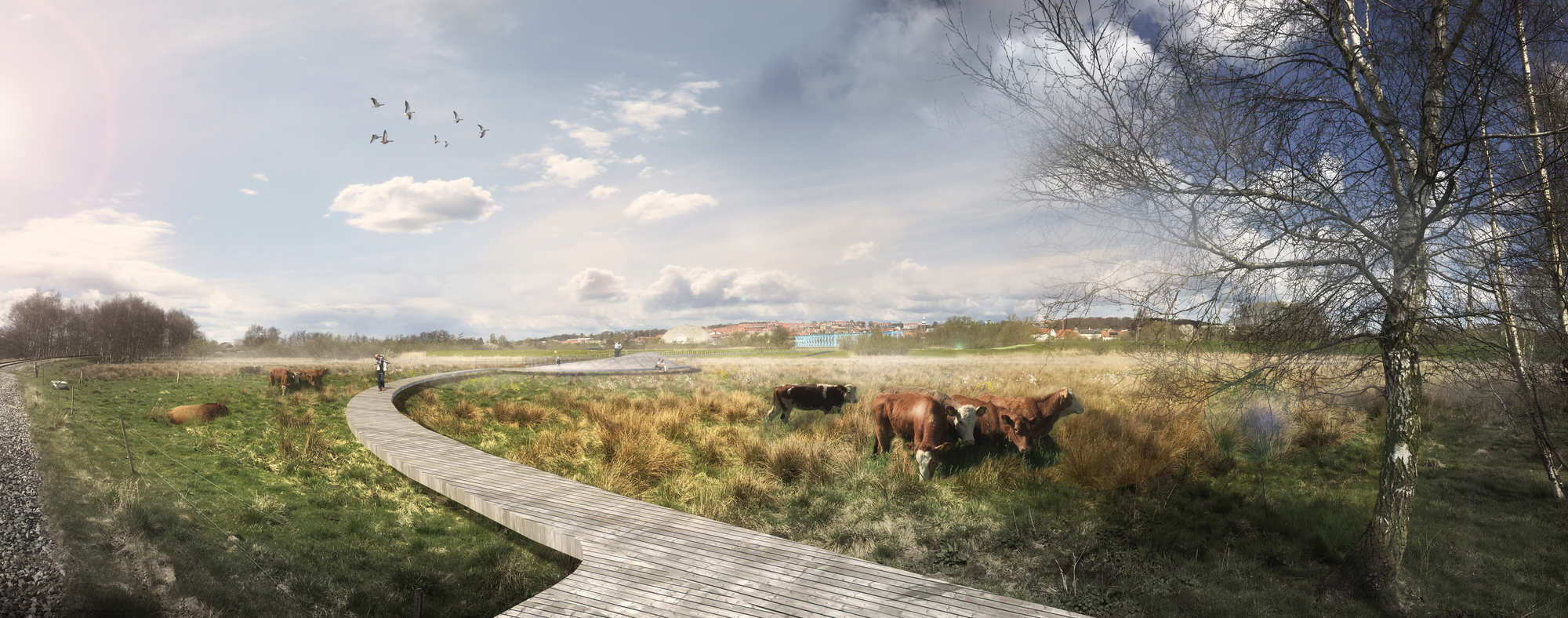 Gallery of CF Møller’s Nature Park is Designed to Flood to Save the ...