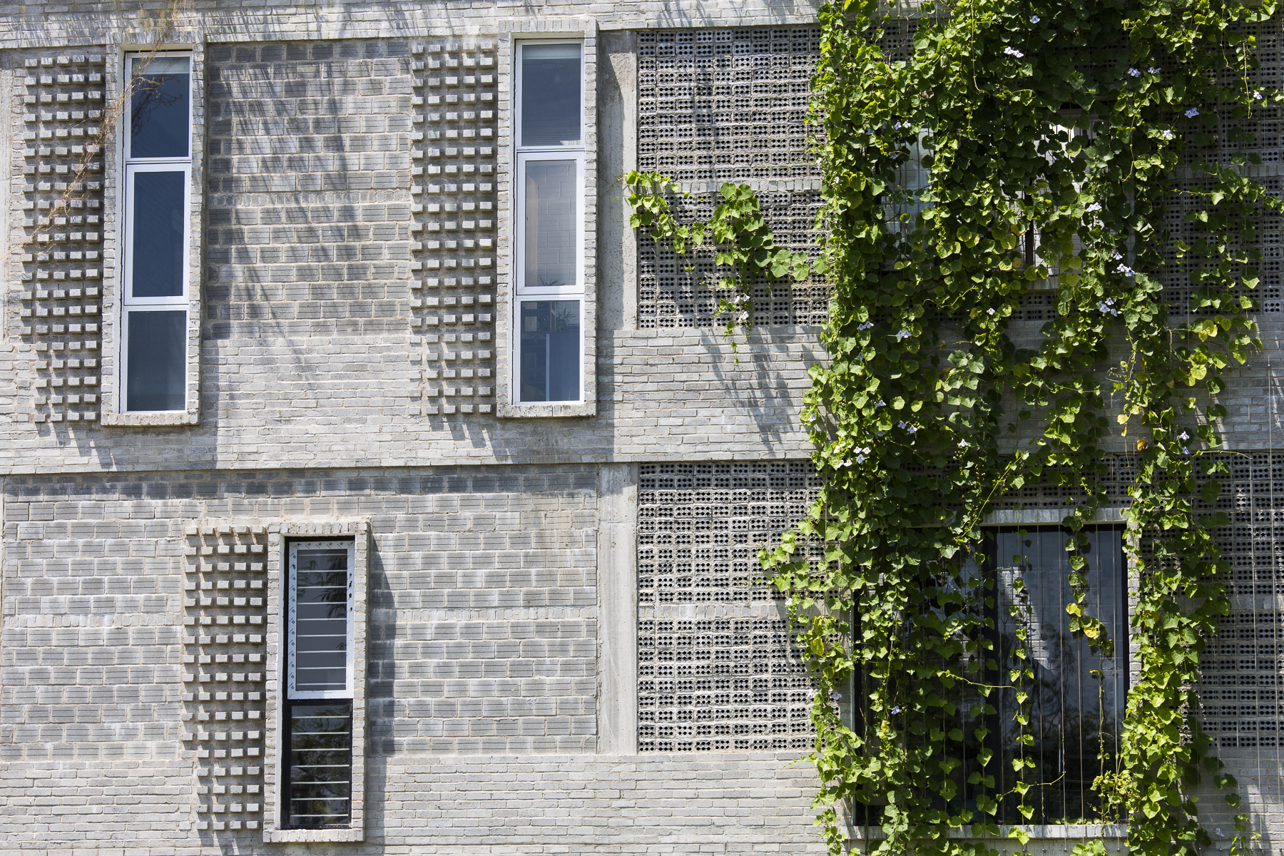 Gallery of The Modern Village Office / Ho Khue Architects - 3