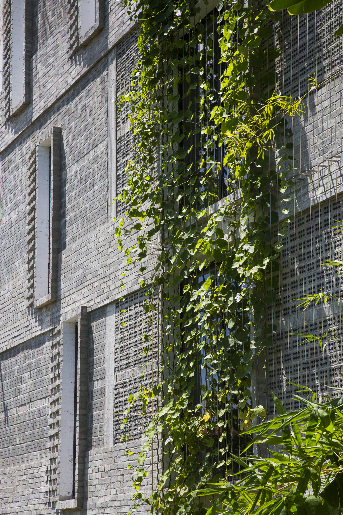 Gallery of The Modern Village Office / Ho Khue Architects - 15