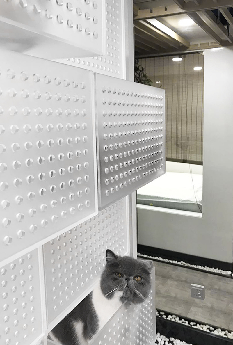 Gallery of Cat House / FANAF - 34