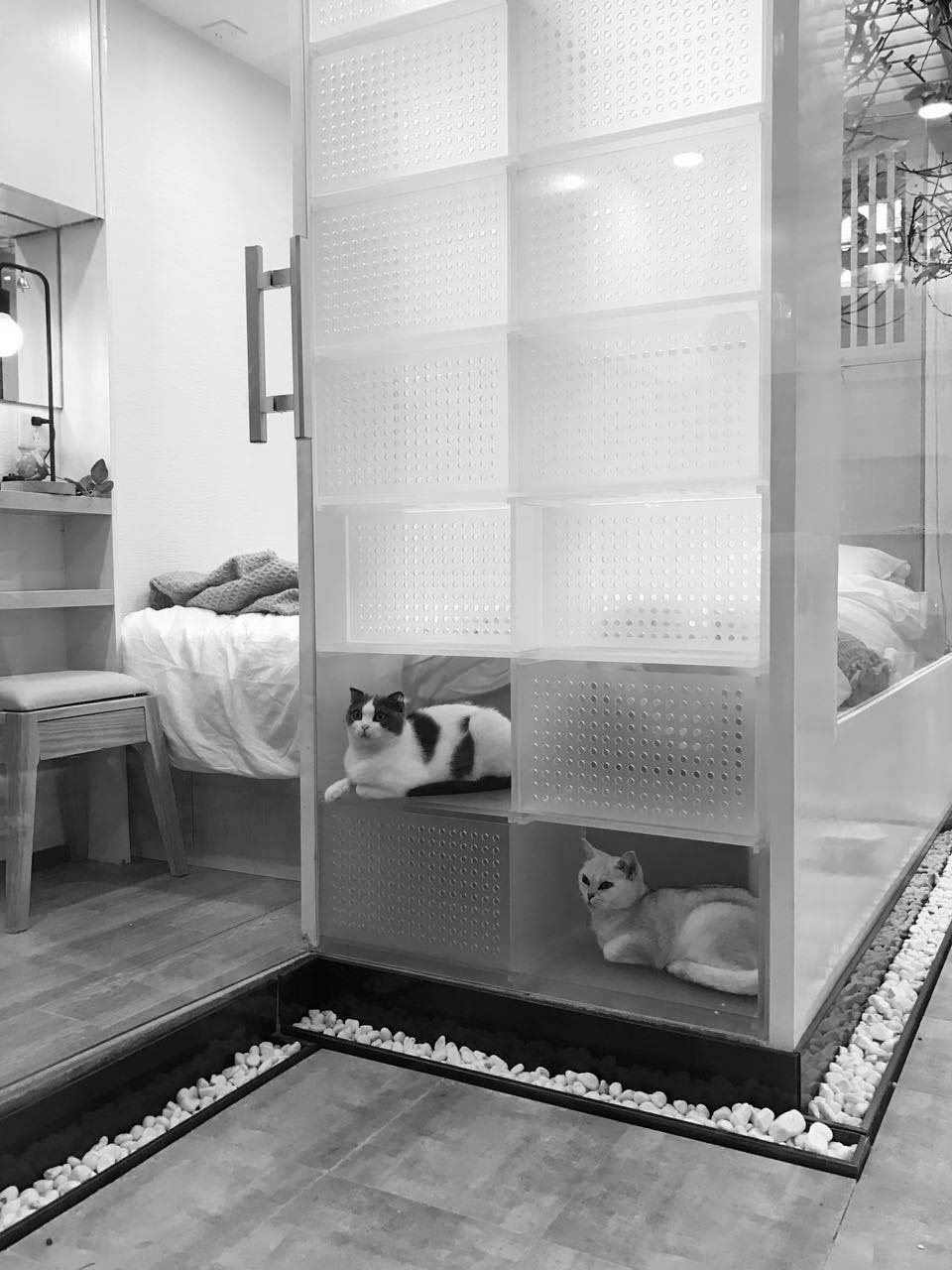 Gallery of Cat House / FANAF - 18
