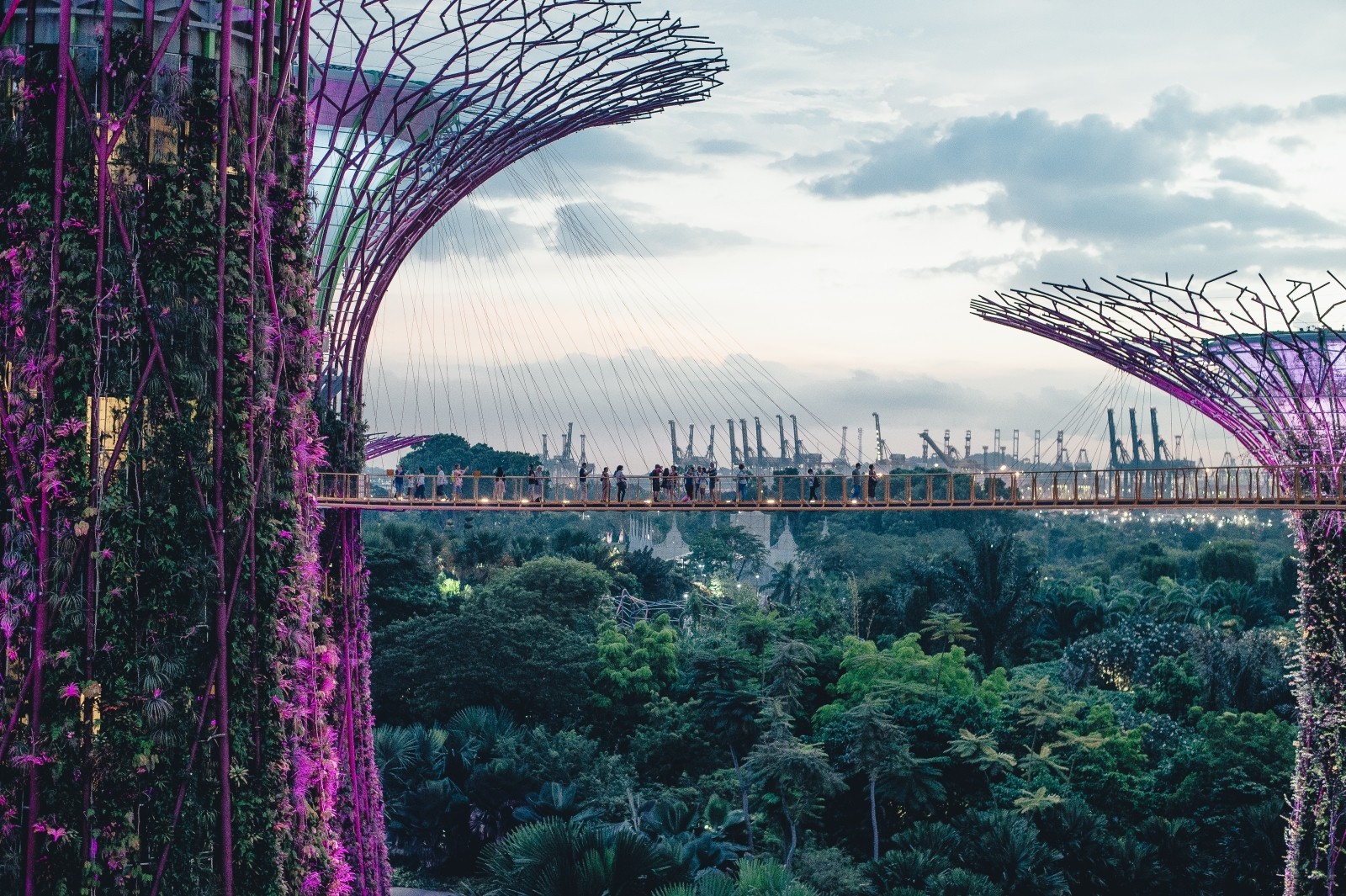 New Algorithm Finds The Greenest City in The World | ArchDaily
