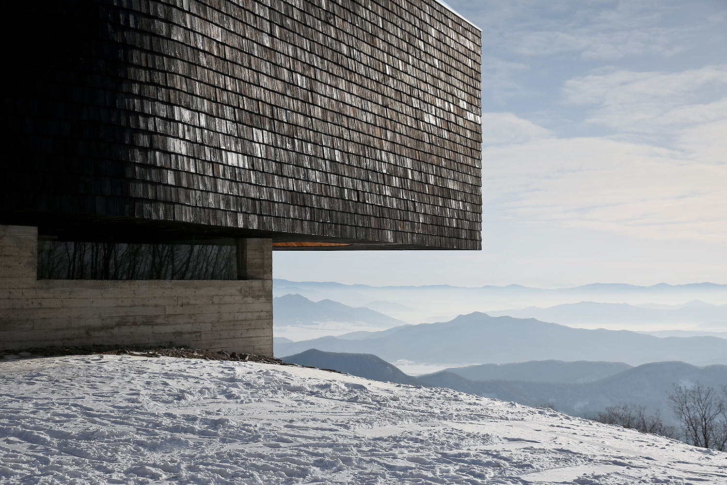 Gallery of Stage of Forest / META-Project - 15