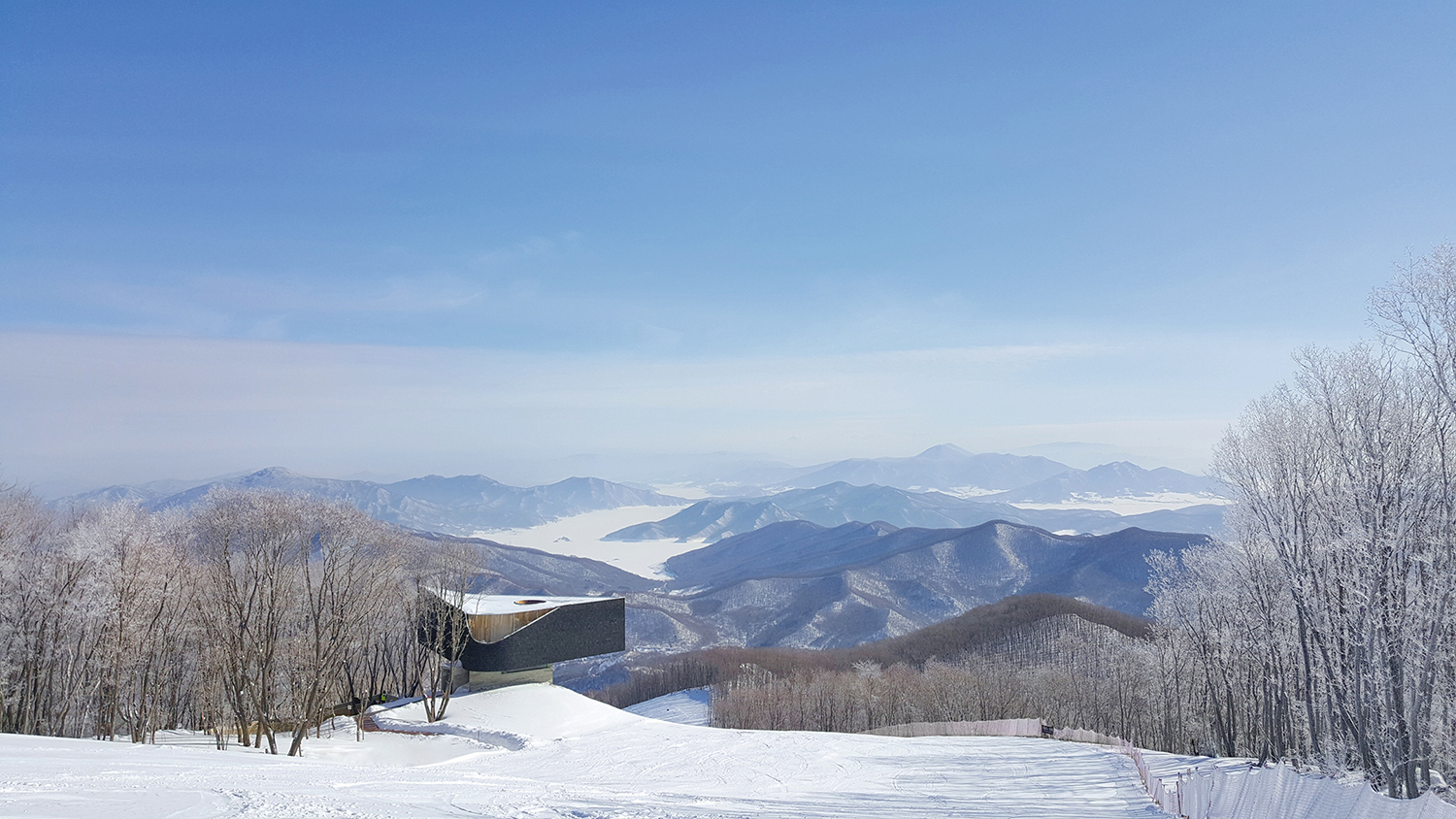 Gallery of Stage of Forest / META-Project - 21