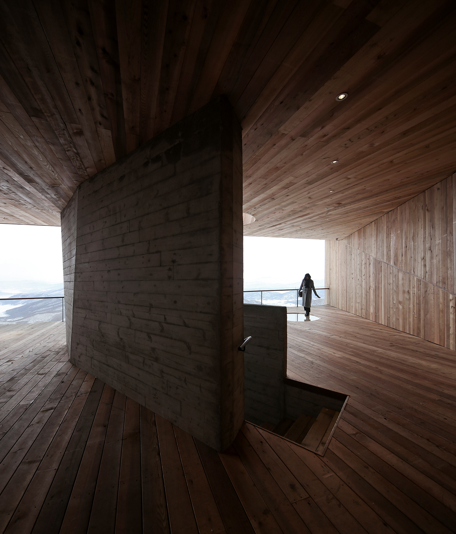 Gallery of Stage of Forest / META-Project - 12