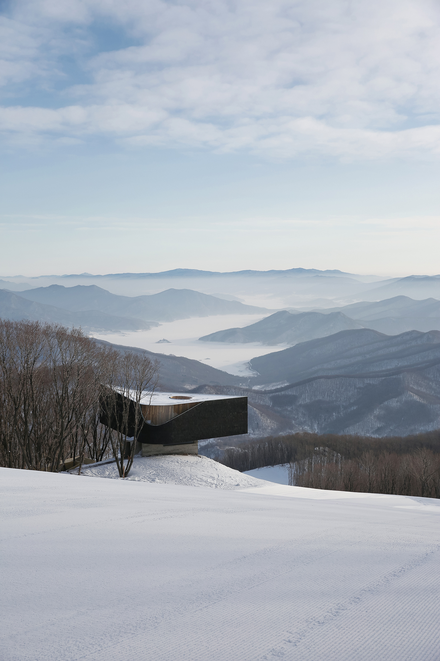 Gallery of Stage of Forest / META-Project - 33