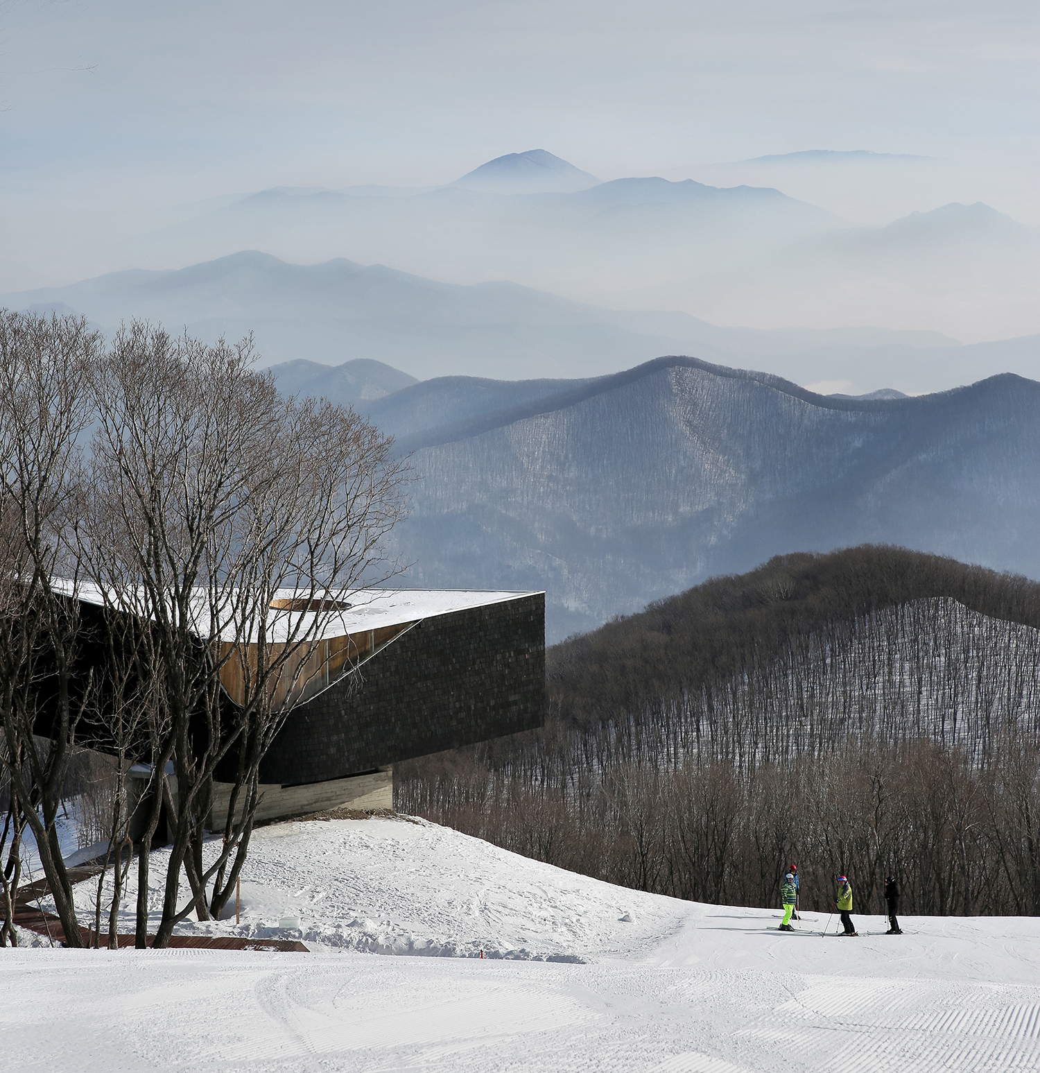 Gallery of Stage of Forest / META-Project - 2