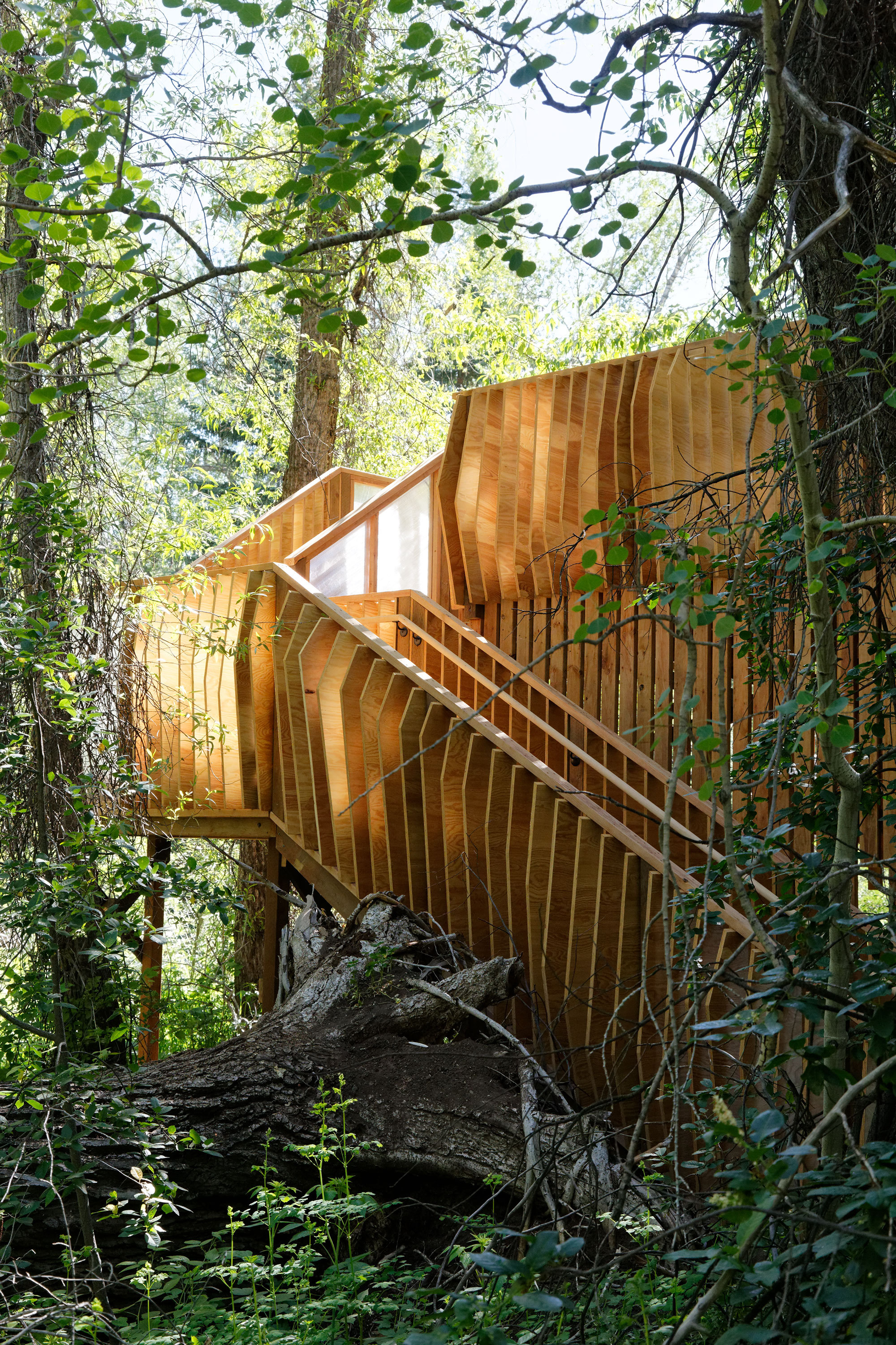 Gallery of ACES Treehouse / Charles Cunniffe Architects - 2