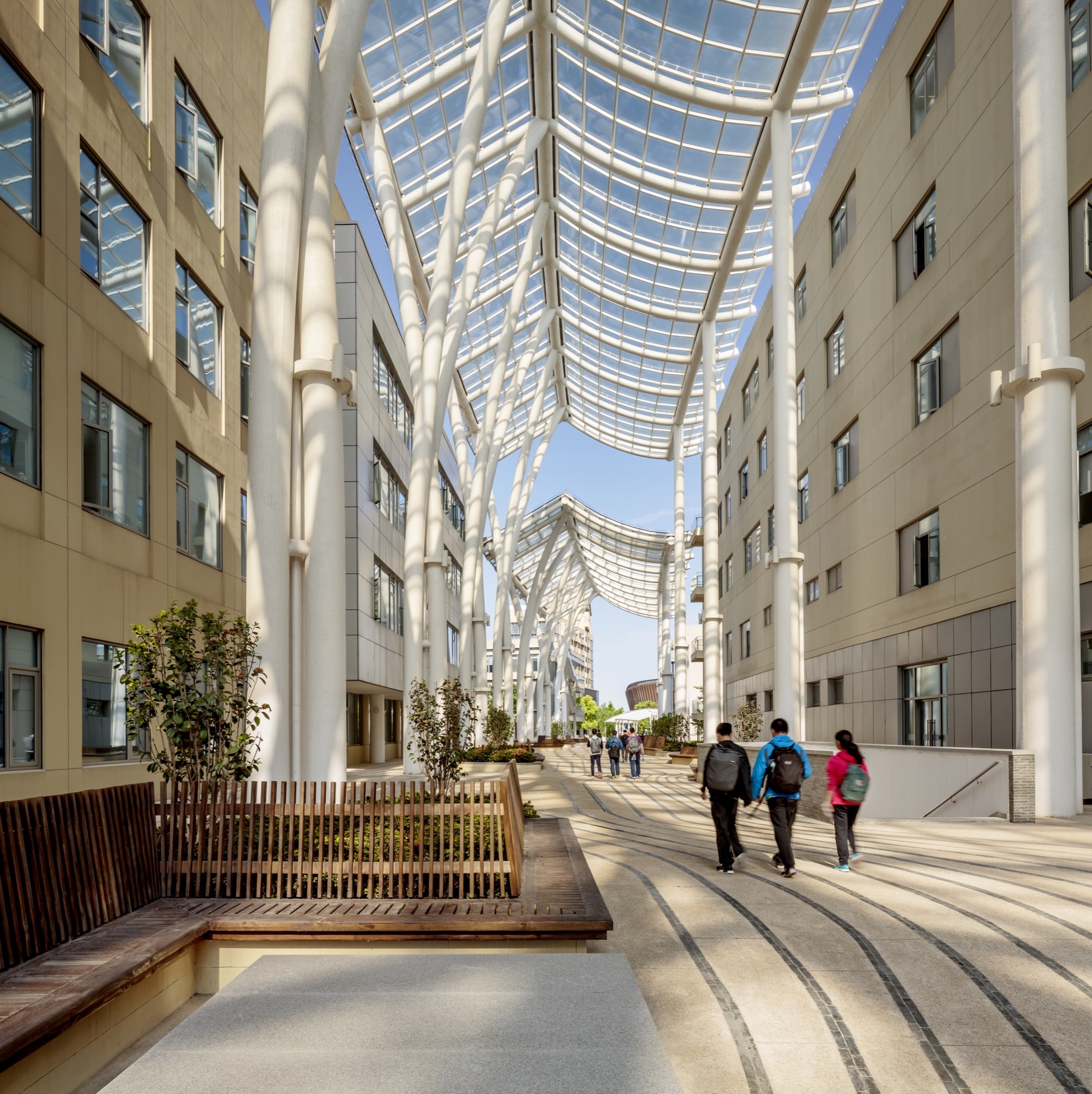 Gallery of ShanghaiTech University / Moore Ruble Yudell - 17