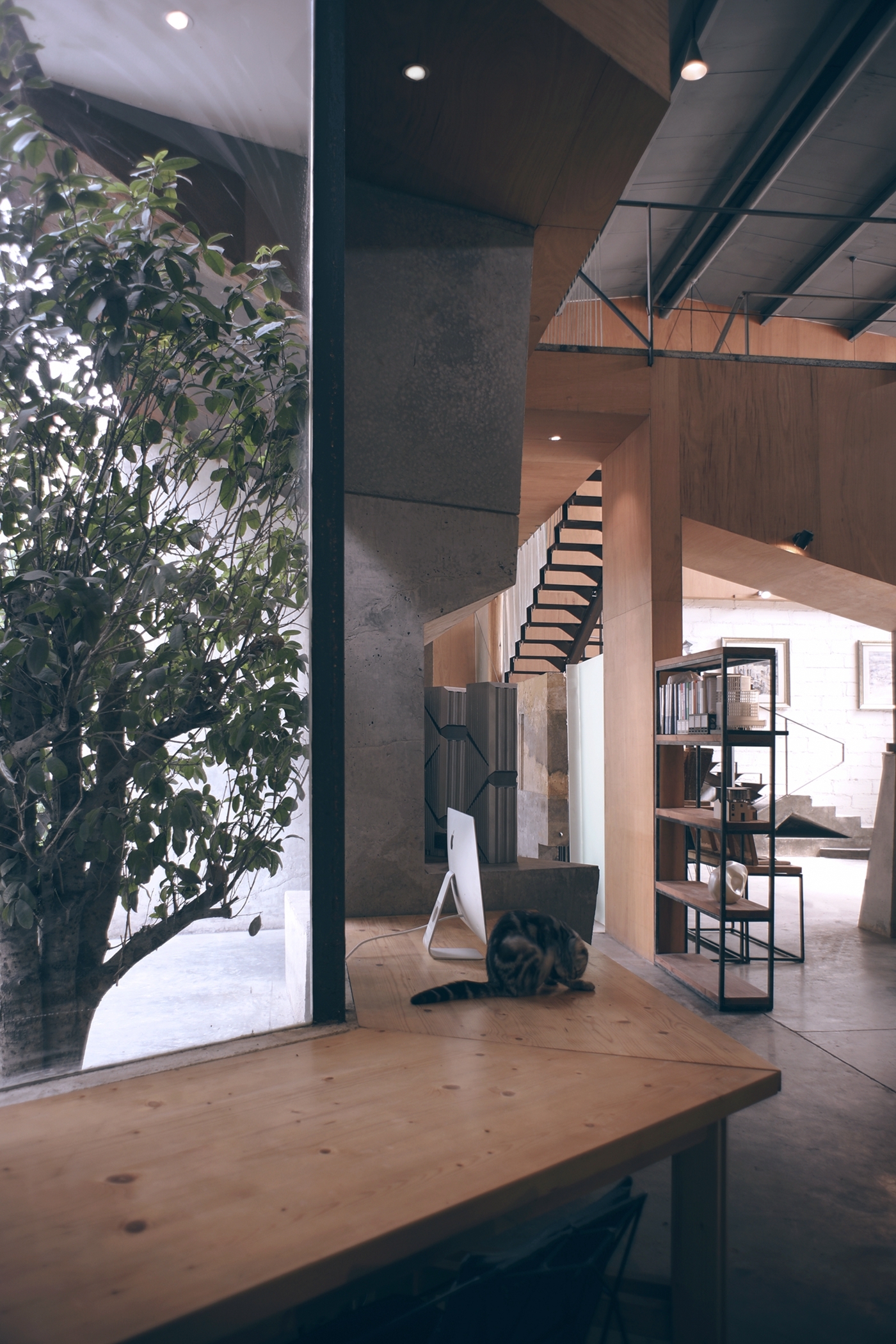 Gallery of CAL Architects Studio / CAL Architects - 4