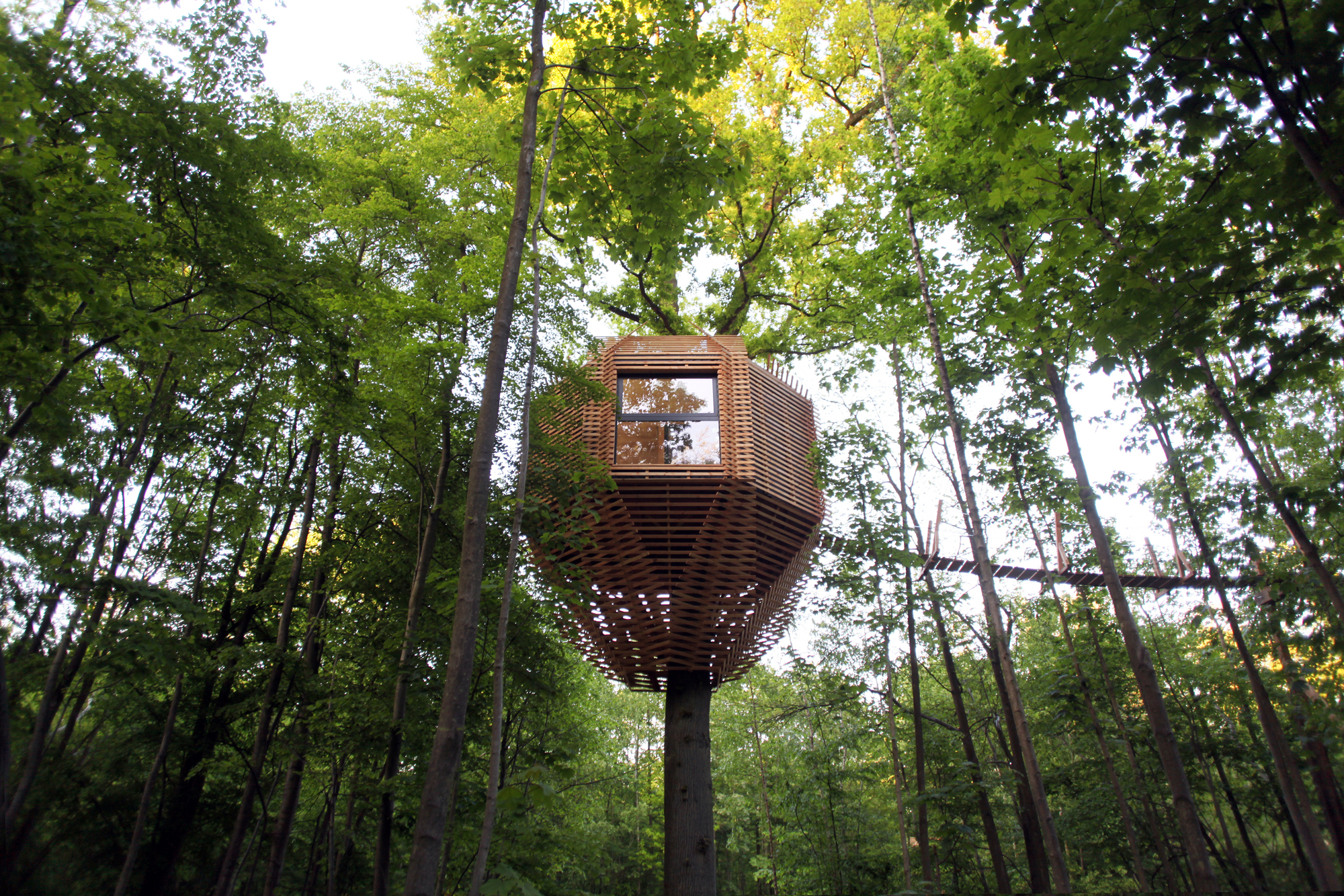 Gallery of ORIGIN Tree House / Atelier LAVIT - 6