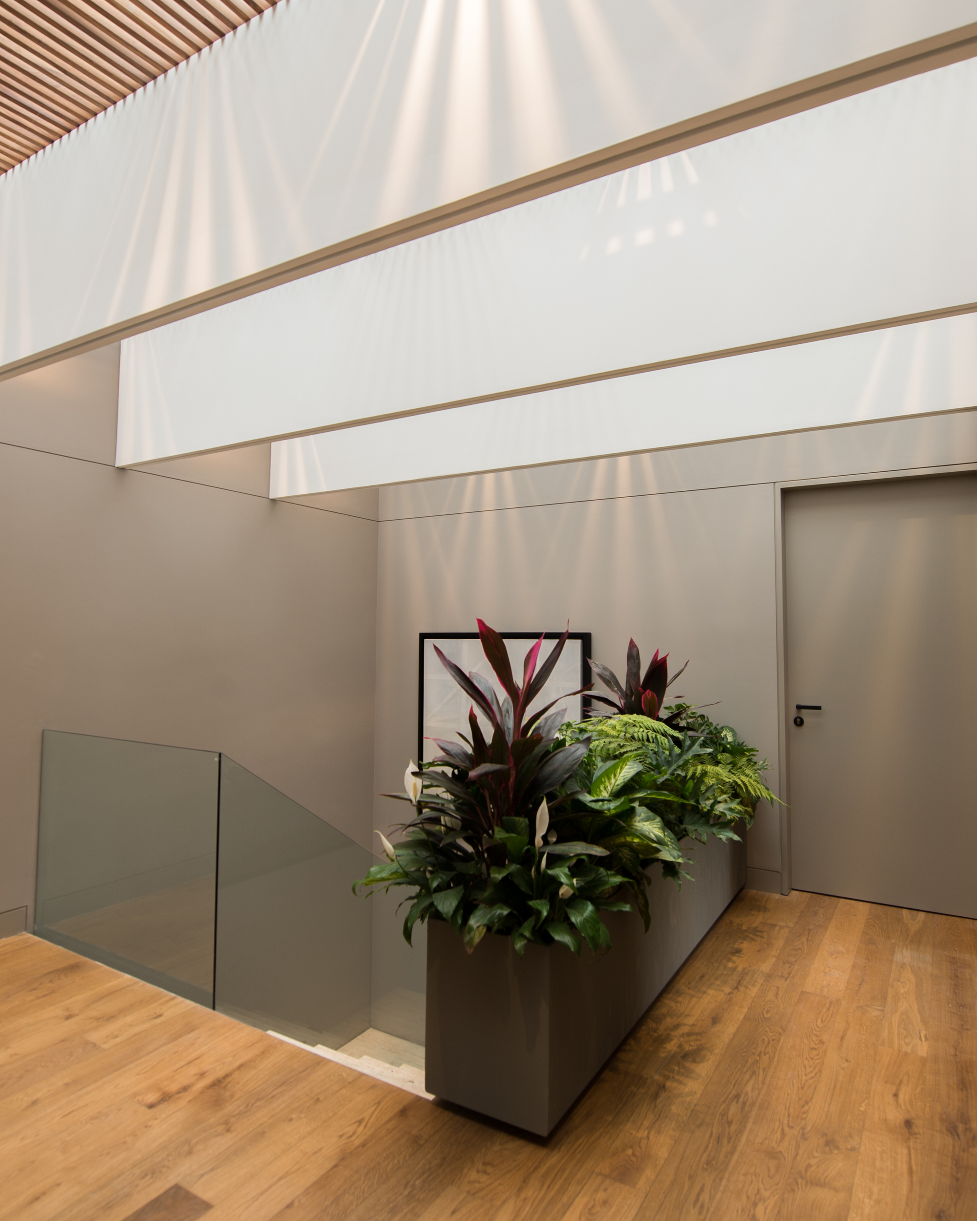 Gallery of Ramos House / JJRR/Arquitectura - 8