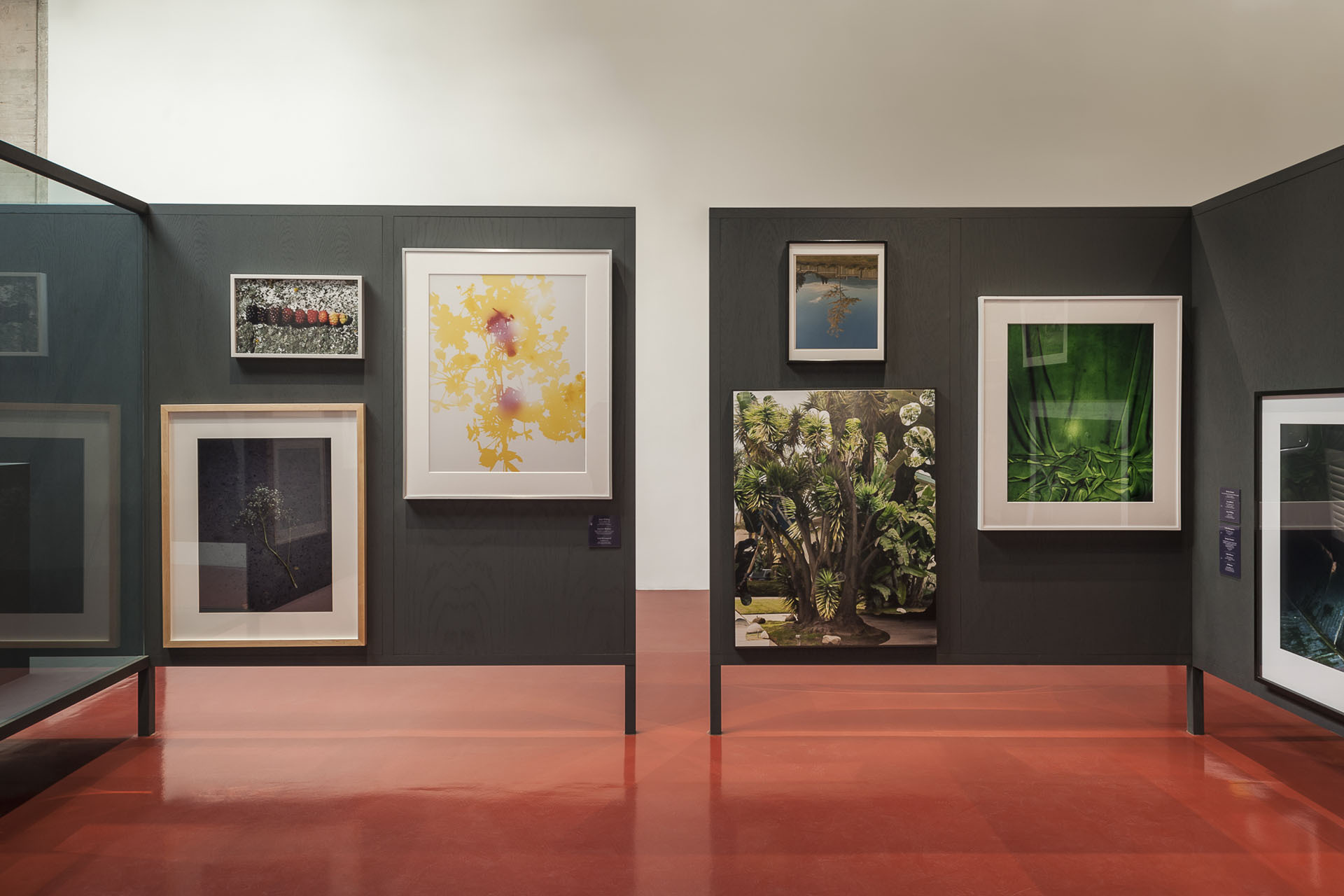 Gallery of 12 Exhibition Design Projects that Show Architecture Doesn't ...