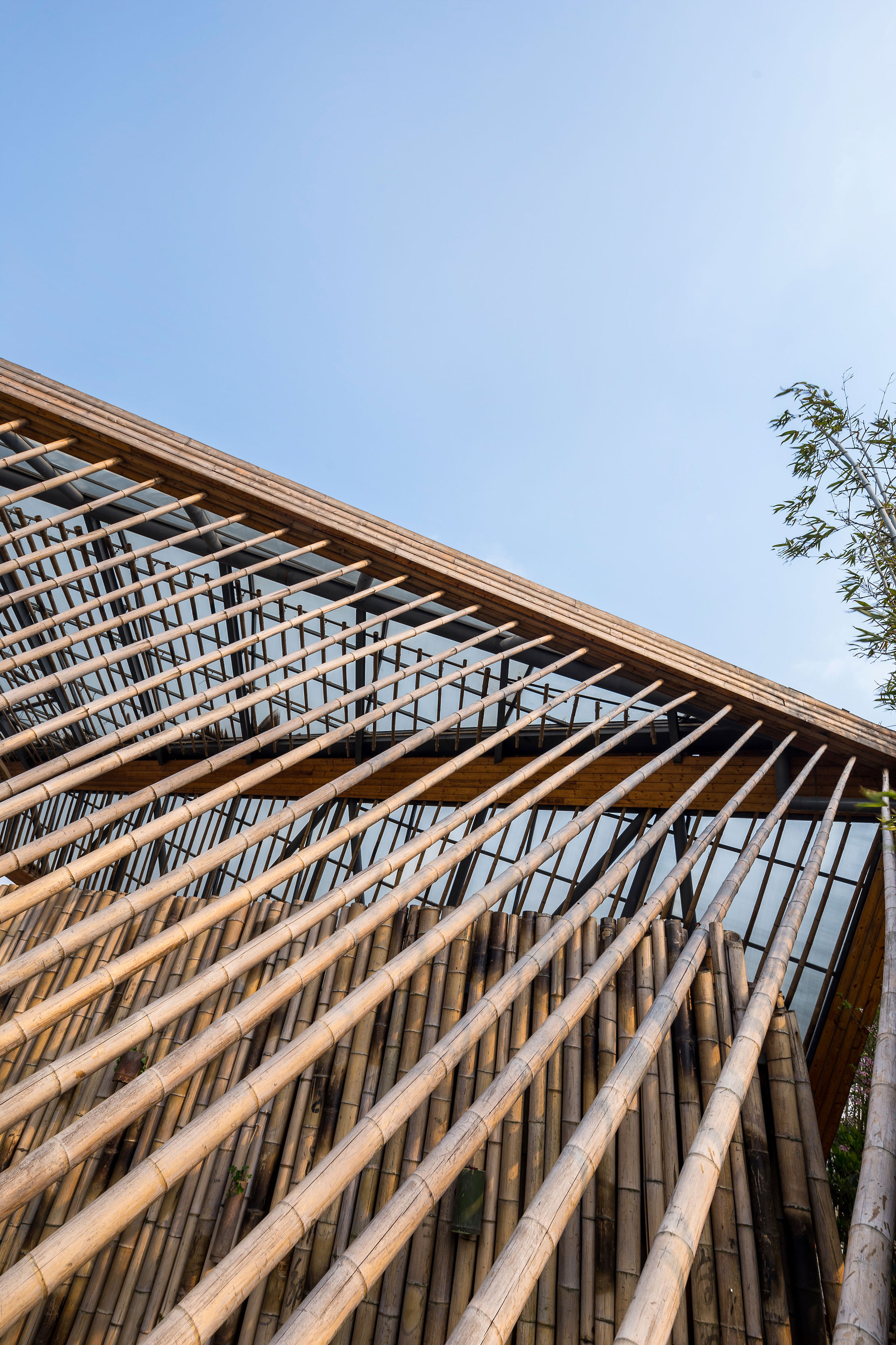 Gallery of New Pastoralism Lecture Hall / SYN Architects China - 16