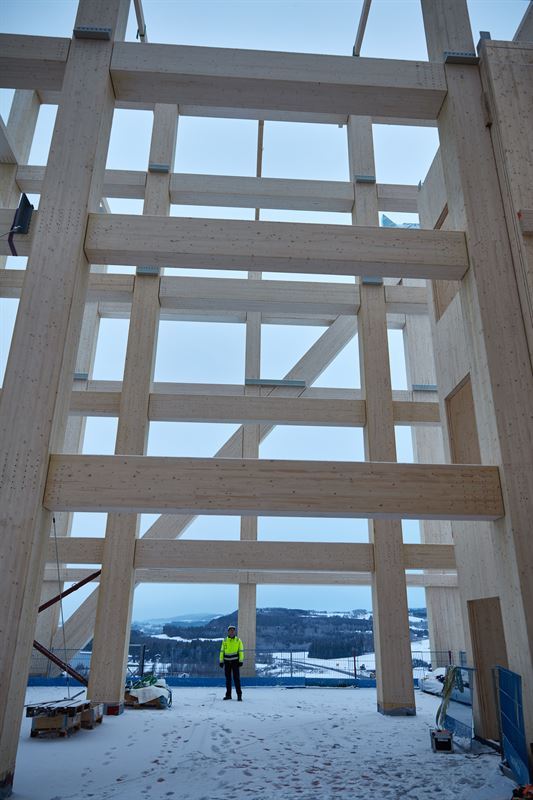 Galería de La torre de madera más alta del mundo se construye en ...
