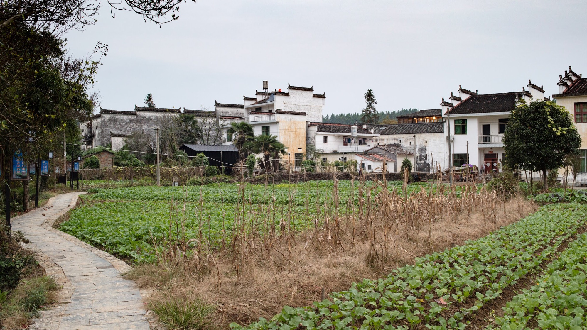 Gallery of Wuyuan Skywells Hotel / anySCALE - 32