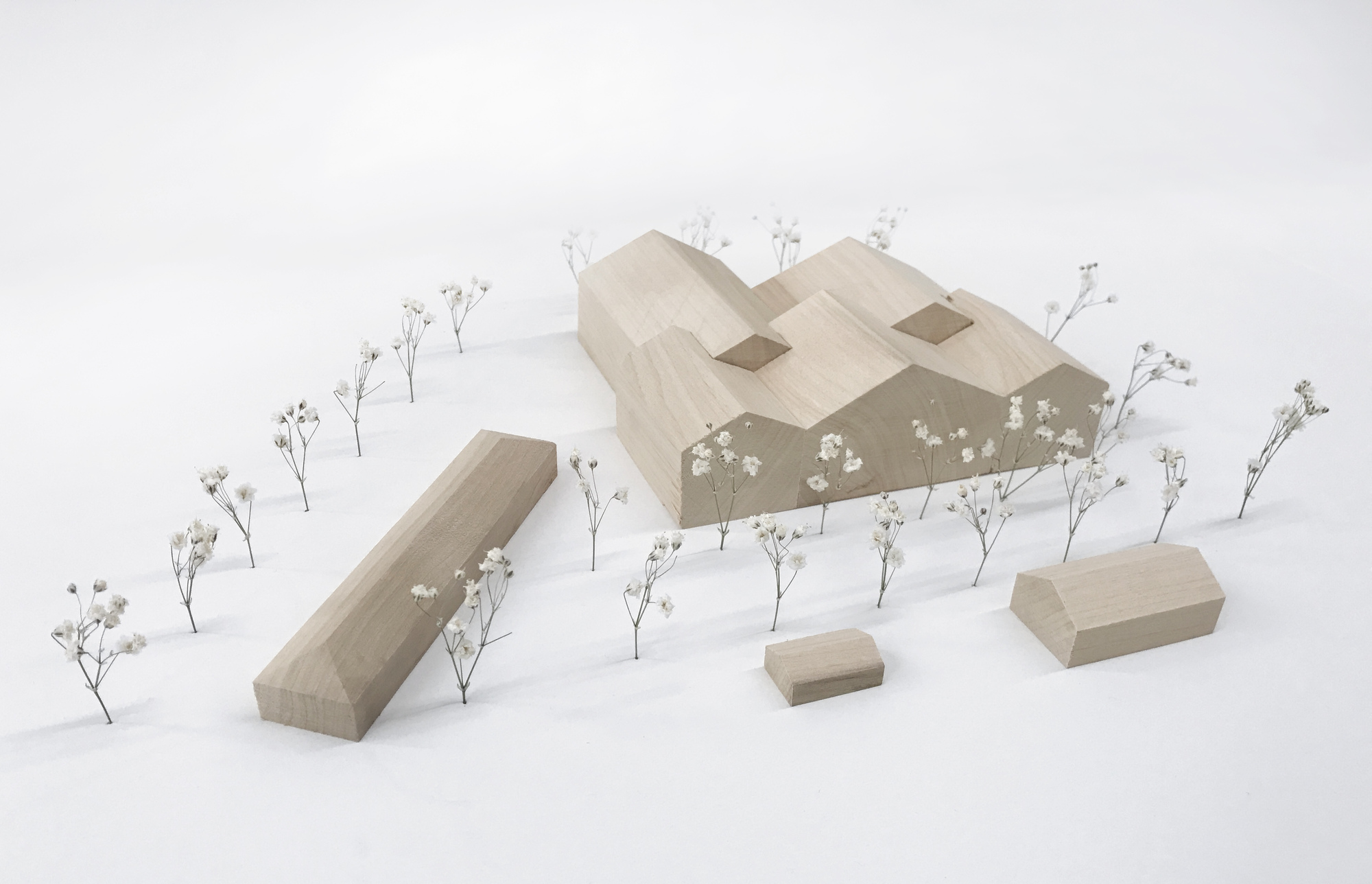 Gallery of High School and Community Centre Project Tests the Limits of ...