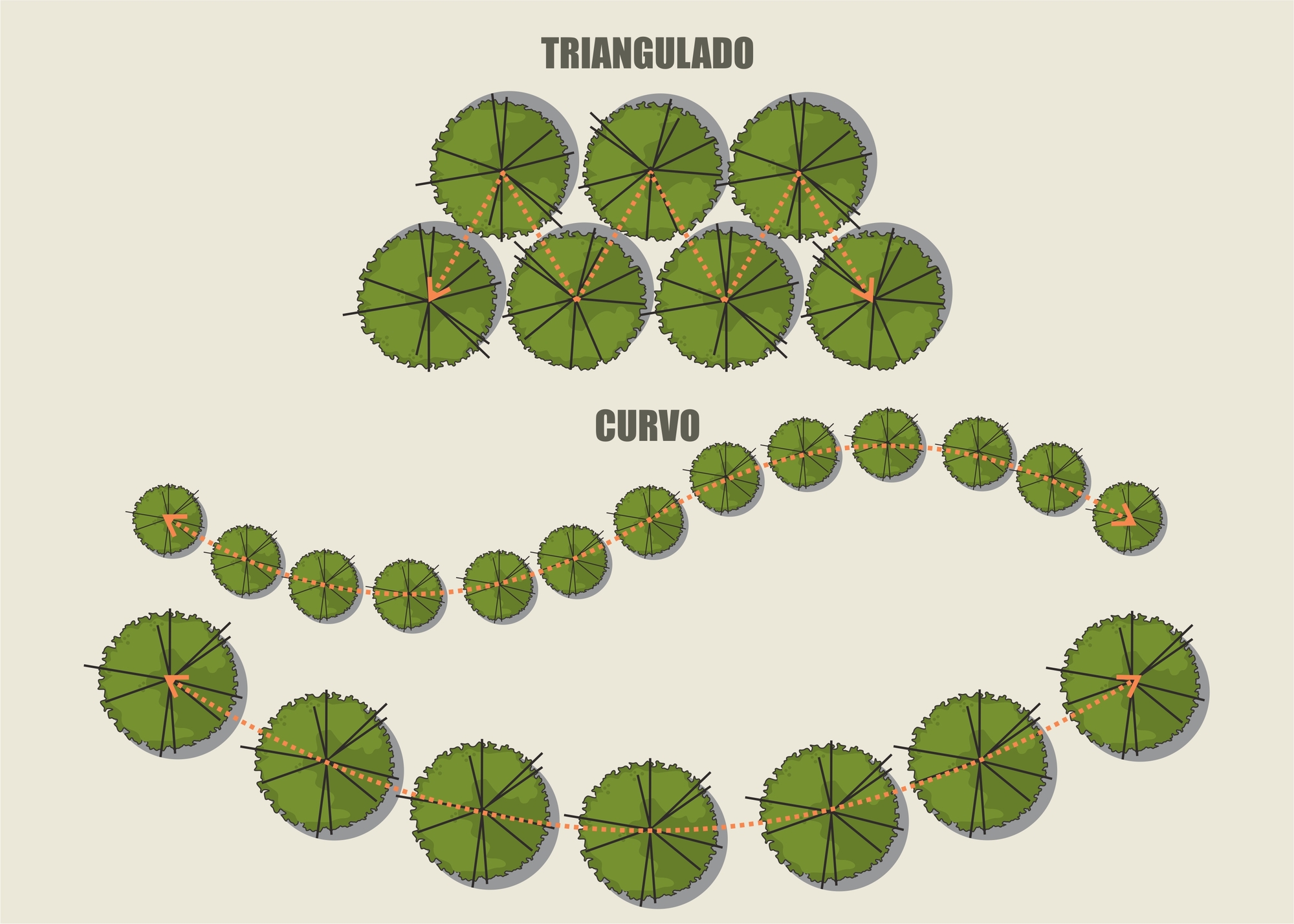 Gallery of Key Elements of Landscape Design: Spatial Planning and Tree ...
