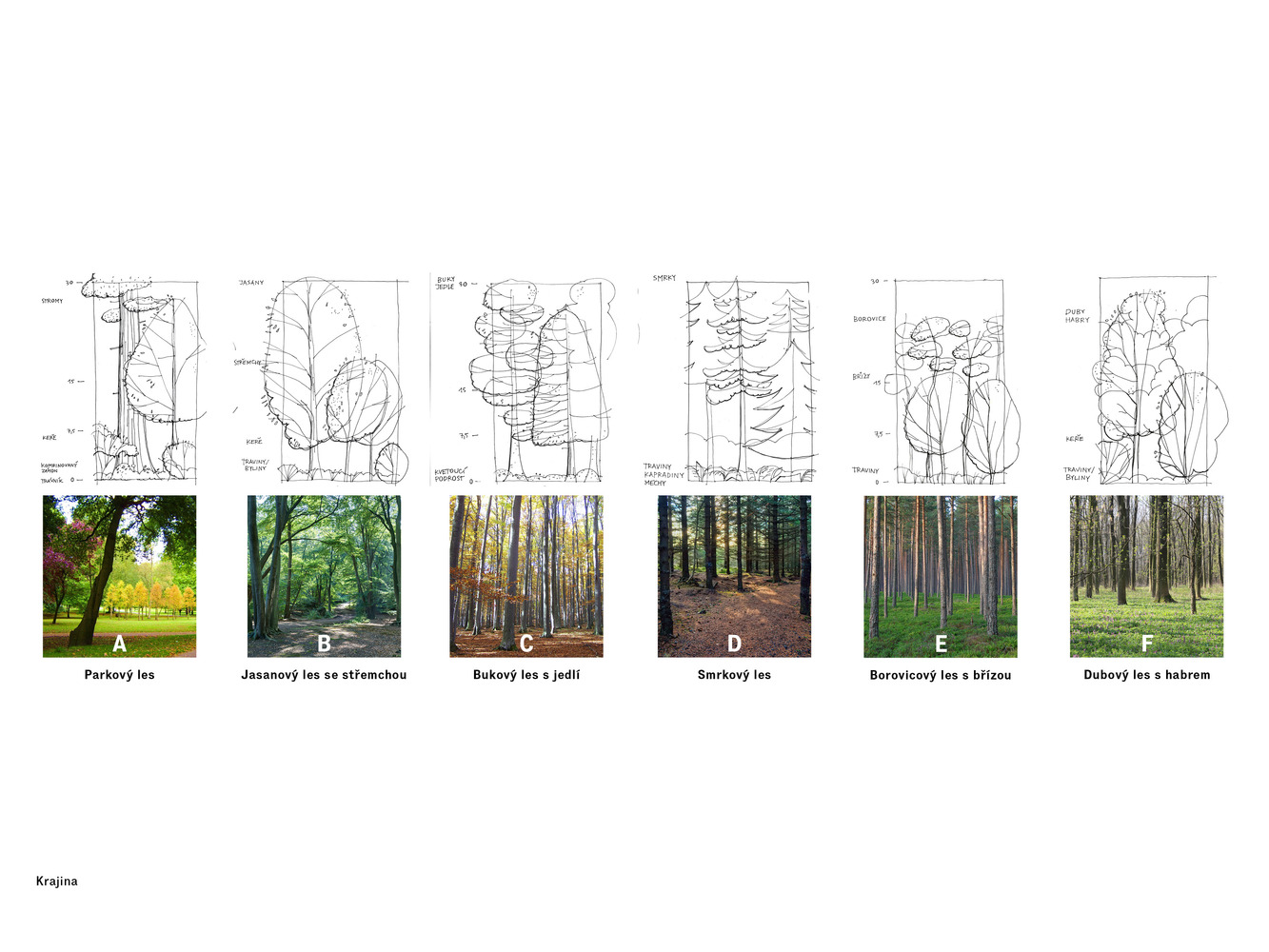 Gallery of Czech Forestry Commission Administrative Centre / CHYBIK ...