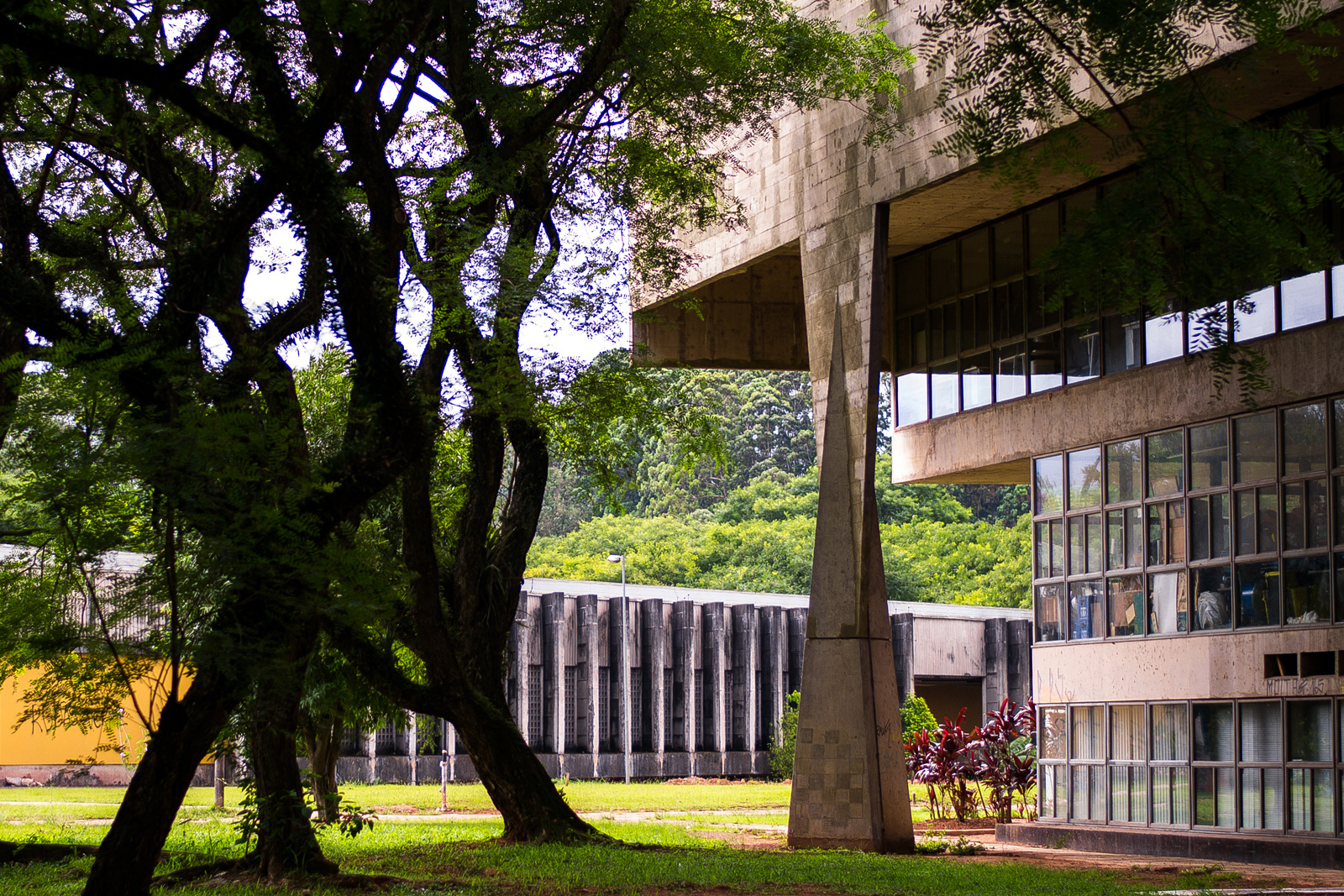 Universidade brasileira lidera ranking dos melhores cursos de ...
