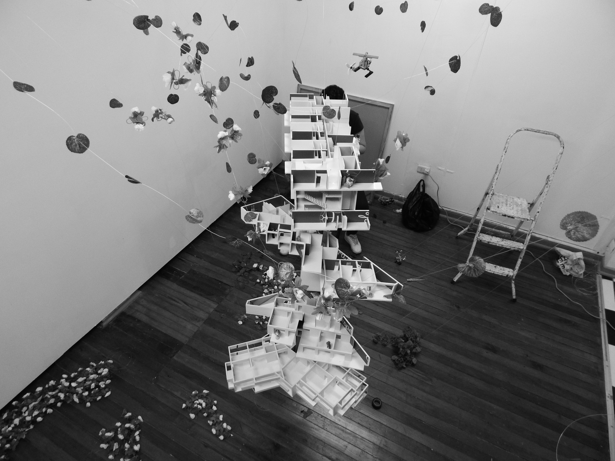 Galería de 'Sección': Pilar Pinchart explora las definiciones del ...