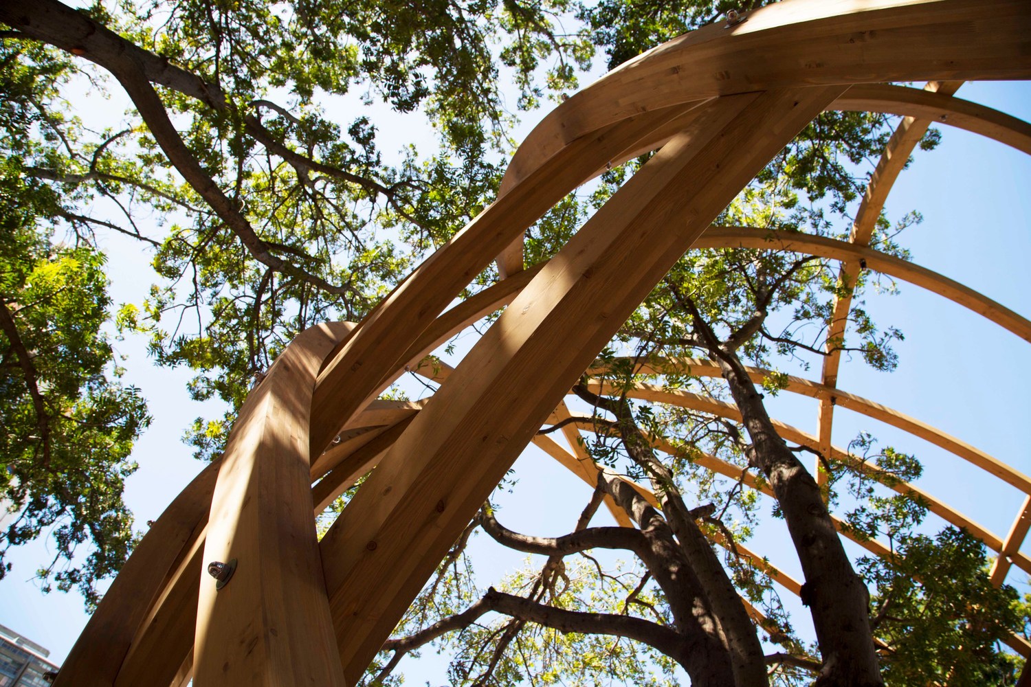 Gallery of Snøhetta and Local Studio Unveil Wooden Archway Honoring ...