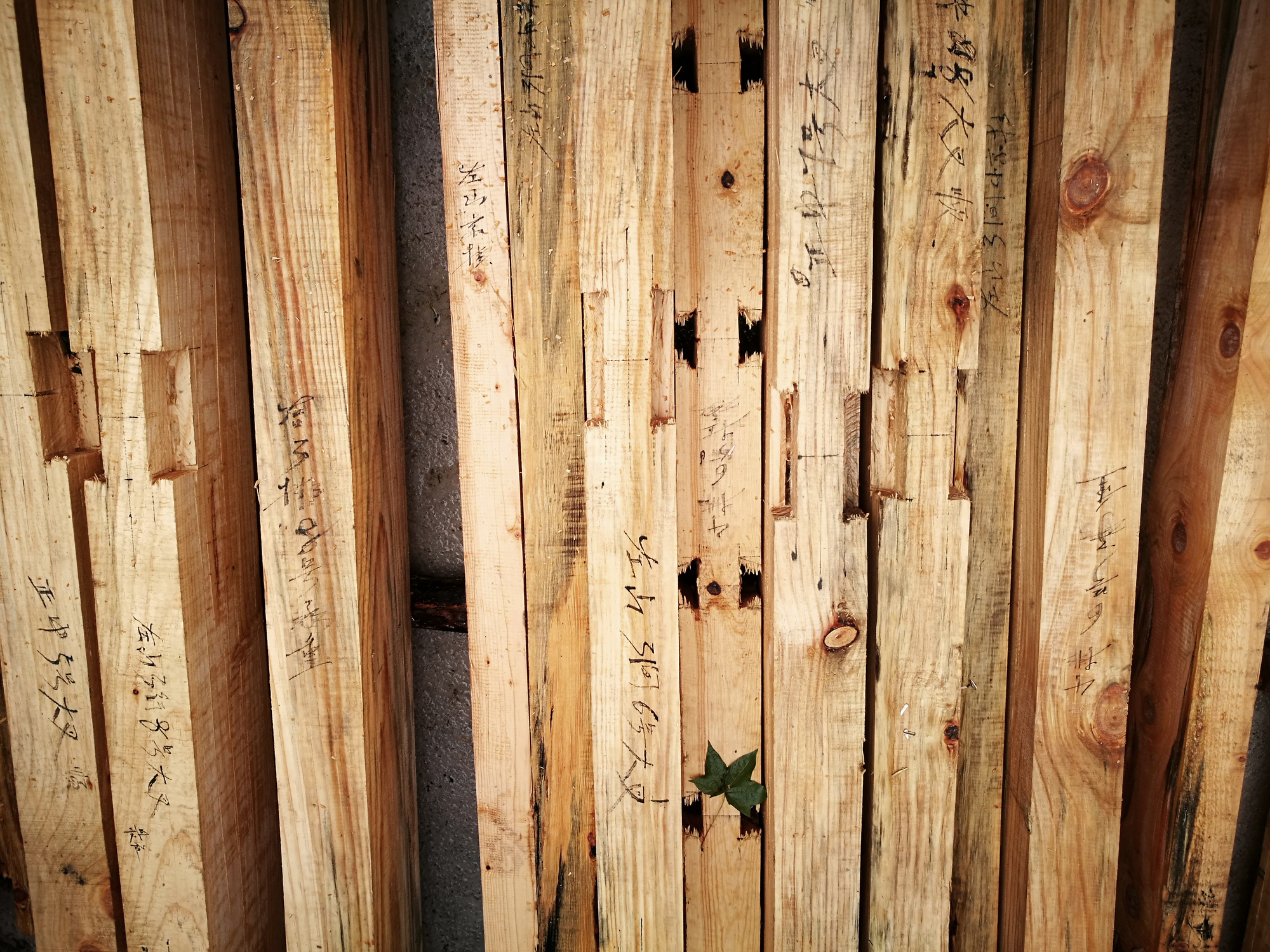 Galería de Hotel Triangle / TAG - 26