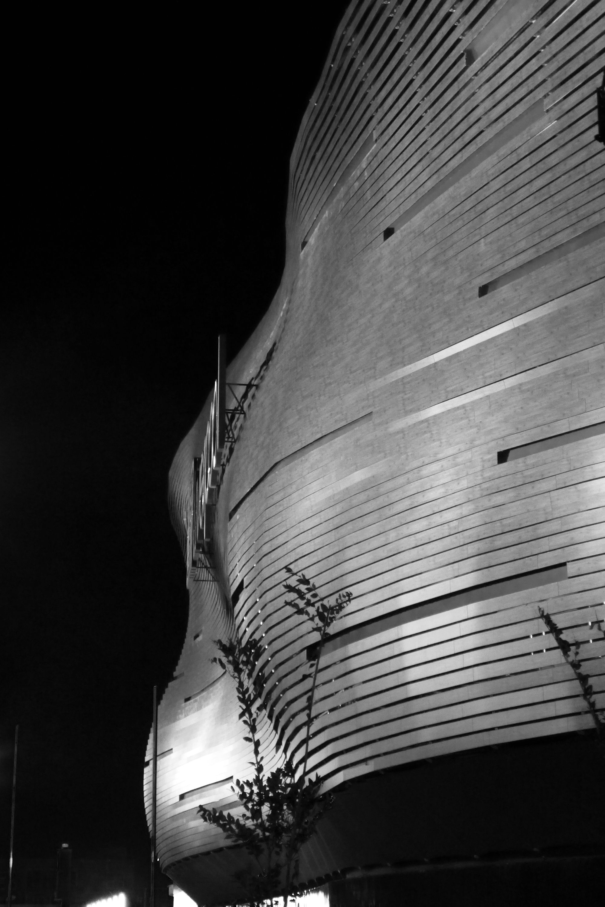 Galeria de Liverpool Toluca / SPRINGALL+LIRA - 8