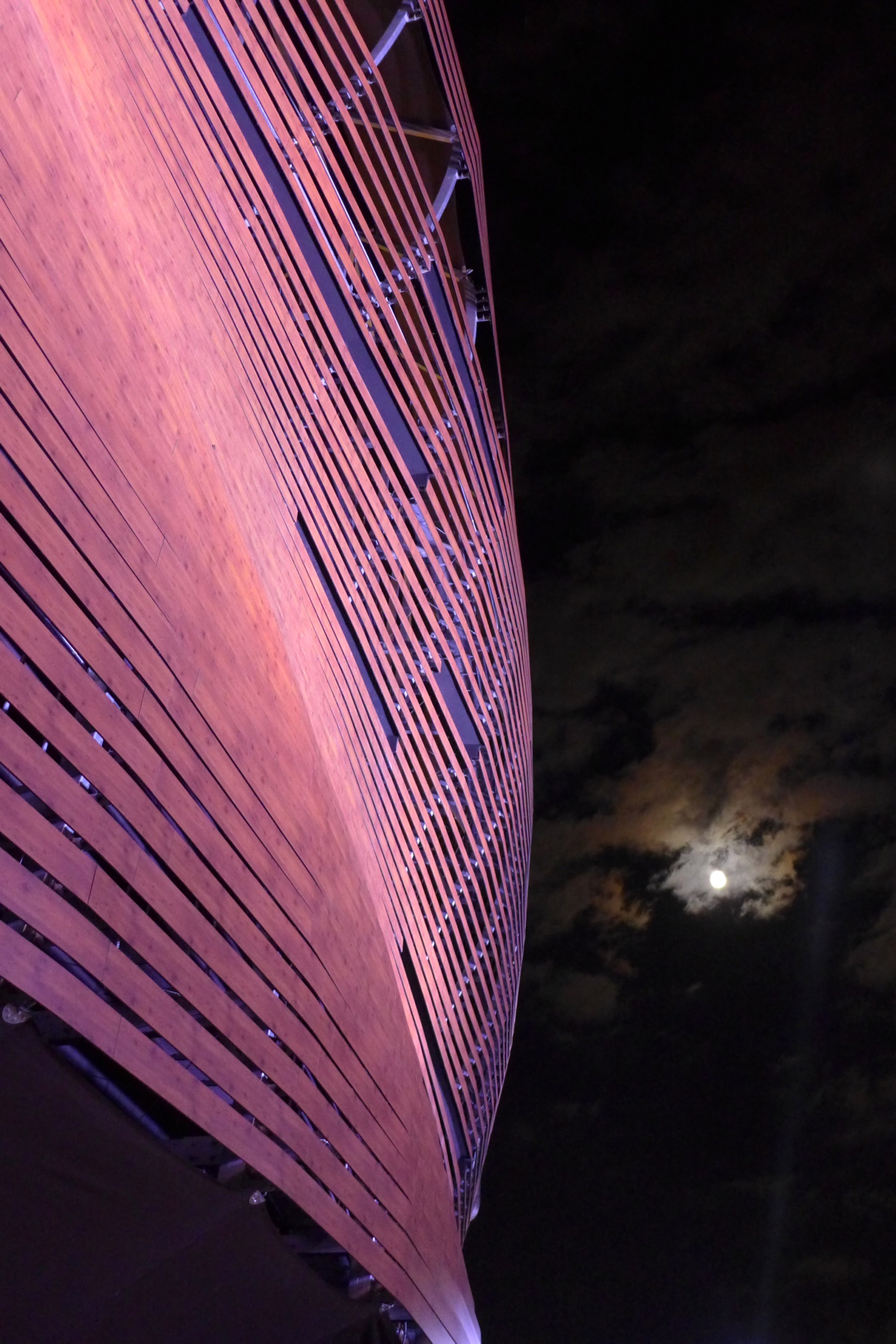 Galeria de Liverpool Toluca / SPRINGALL+LIRA - 11