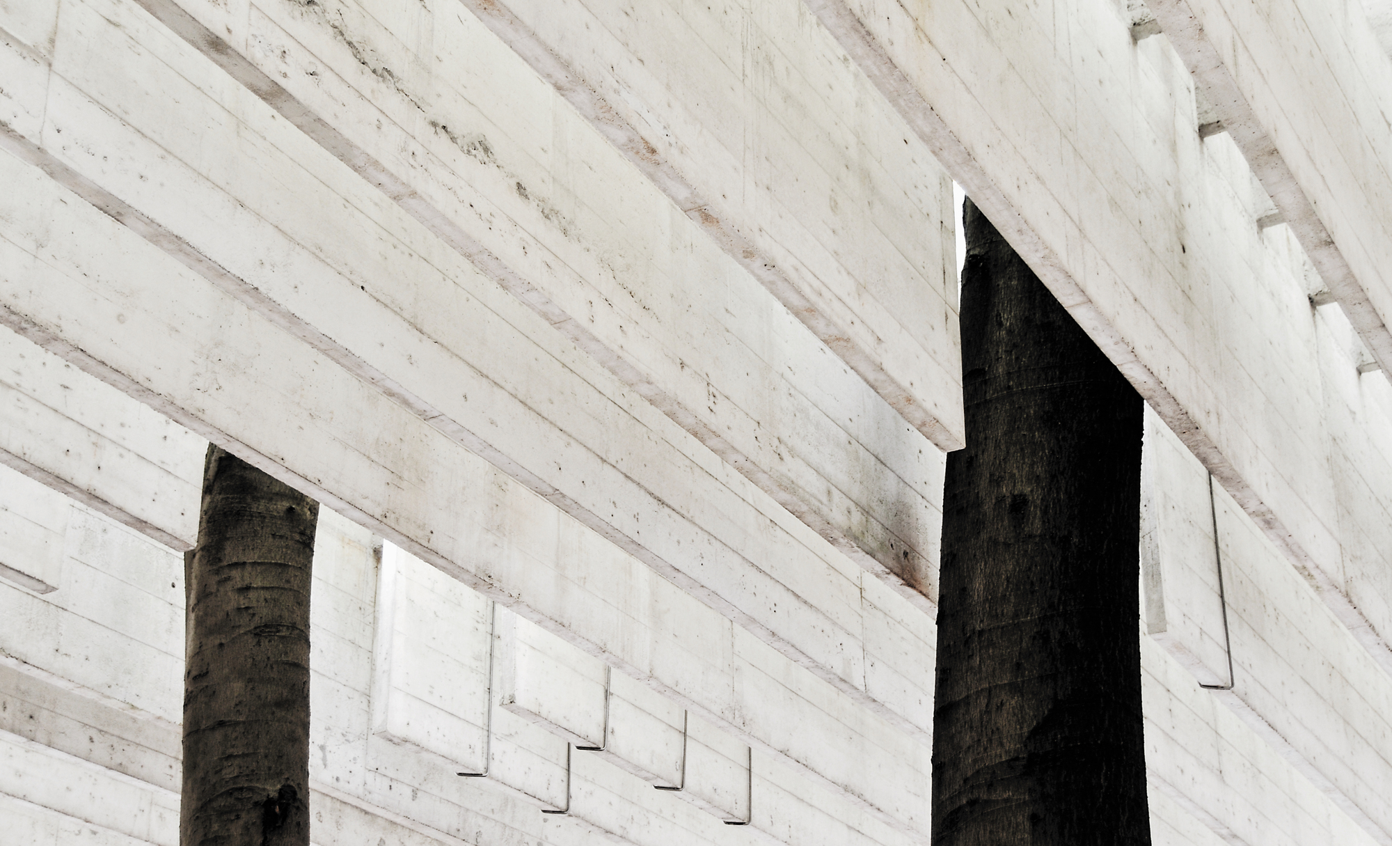 Nordic Pavilion at the 2018 Venice Biennale to Explore Nature's ...