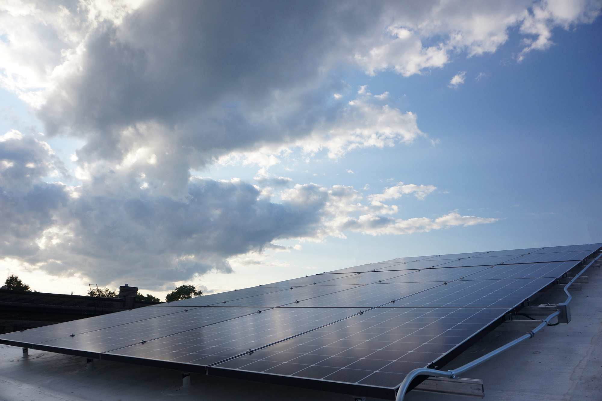 Gallery of Logan Certified / moss Design - 30