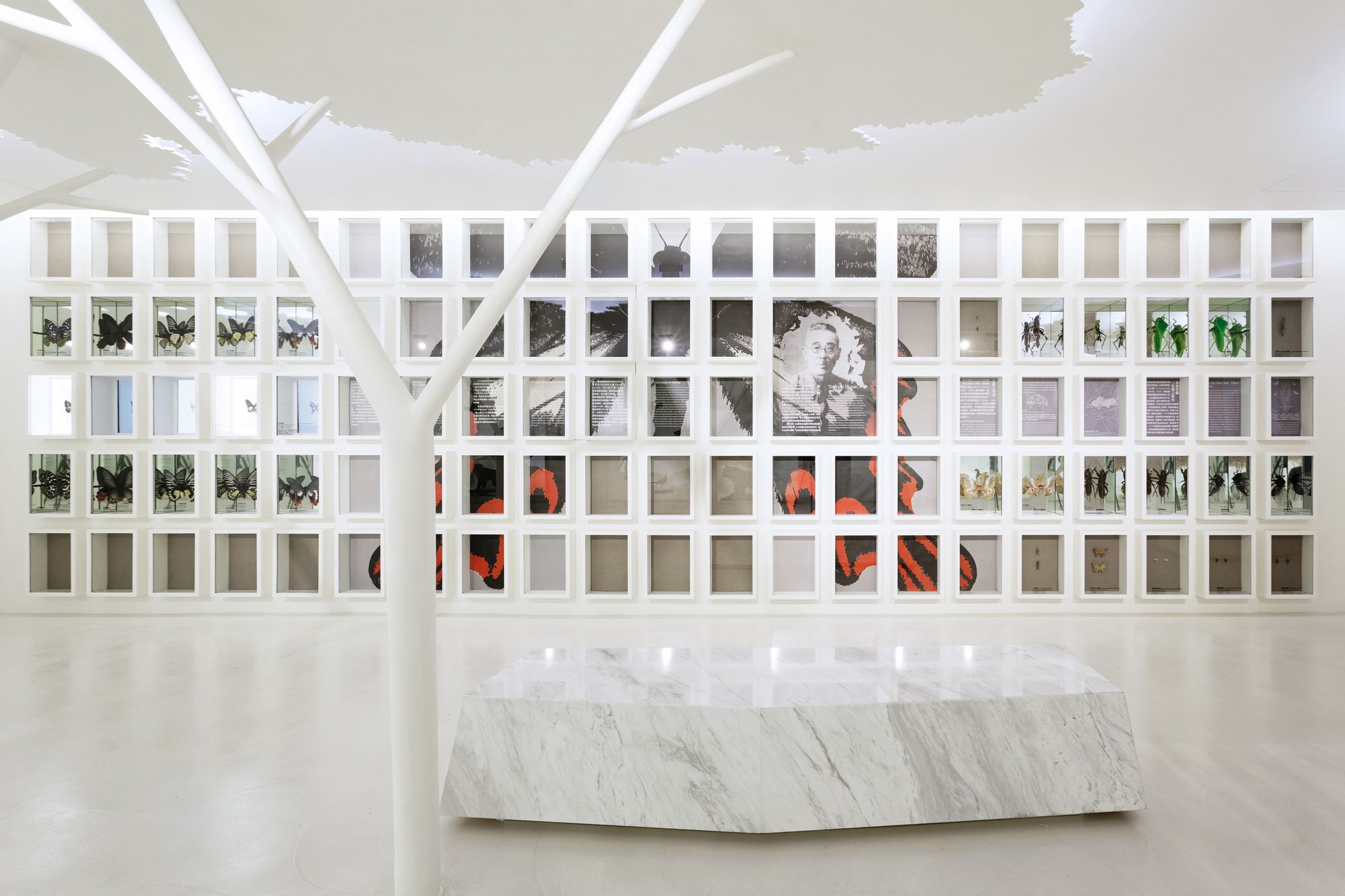 Gallery of Discovering Taiwan / Studio TING - 9