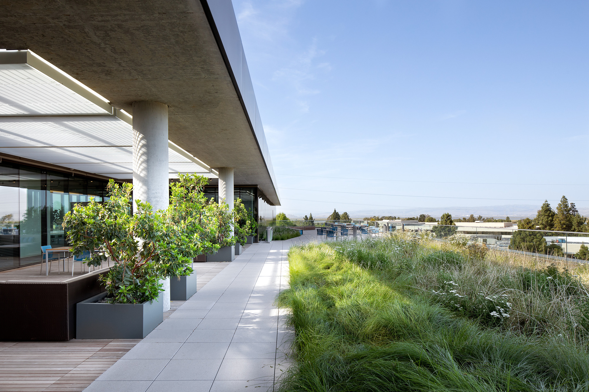 Gallery of Intuit Marine Way Building / WRNS Studio + Clive Wilkinson ...