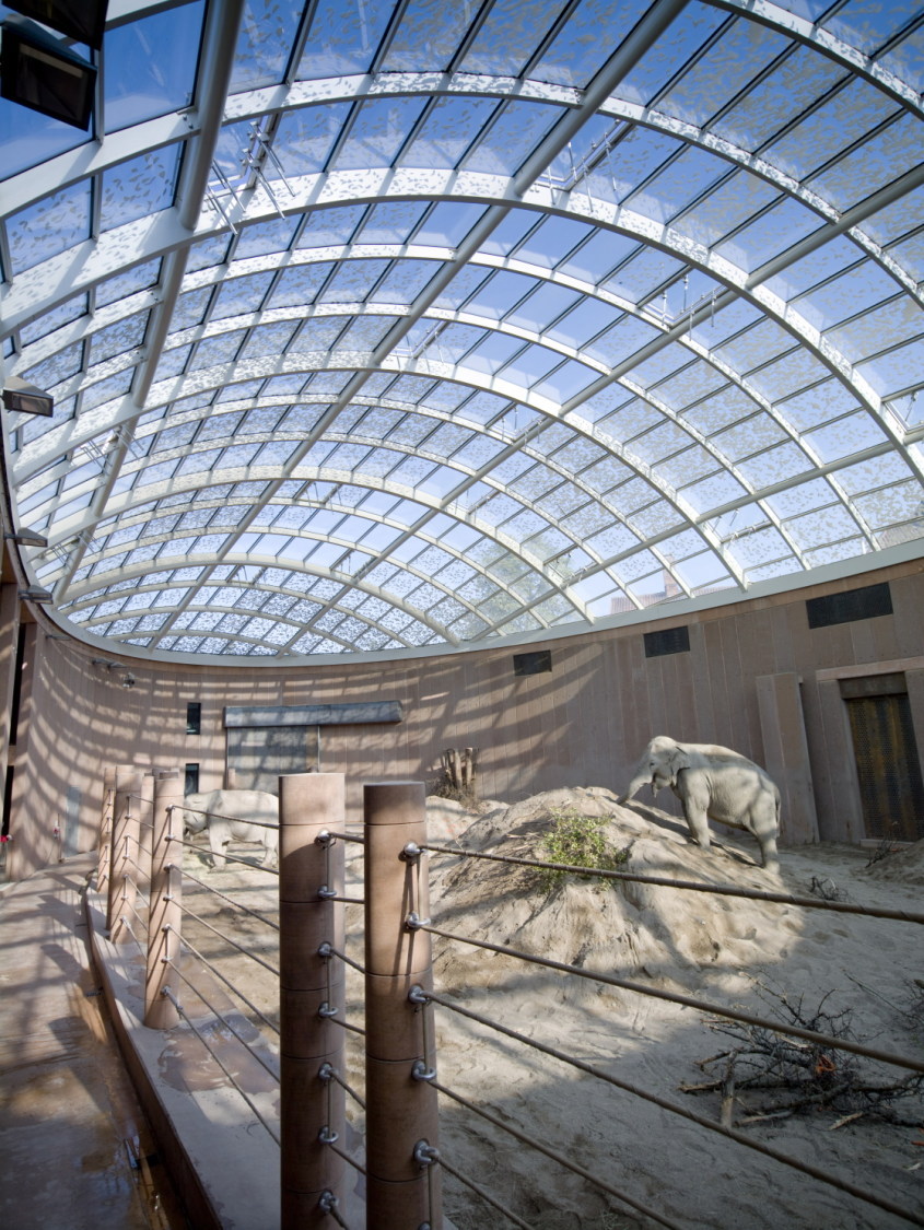 Gallery of Elephant House / Foster + Partners - 26