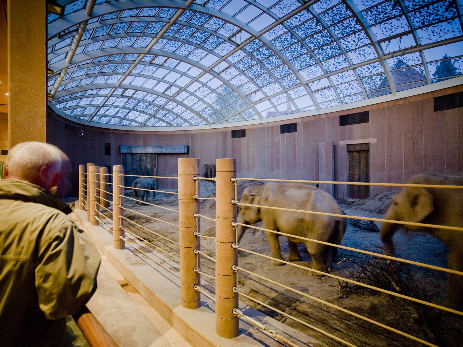 Gallery of Elephant House / Foster + Partners - 30