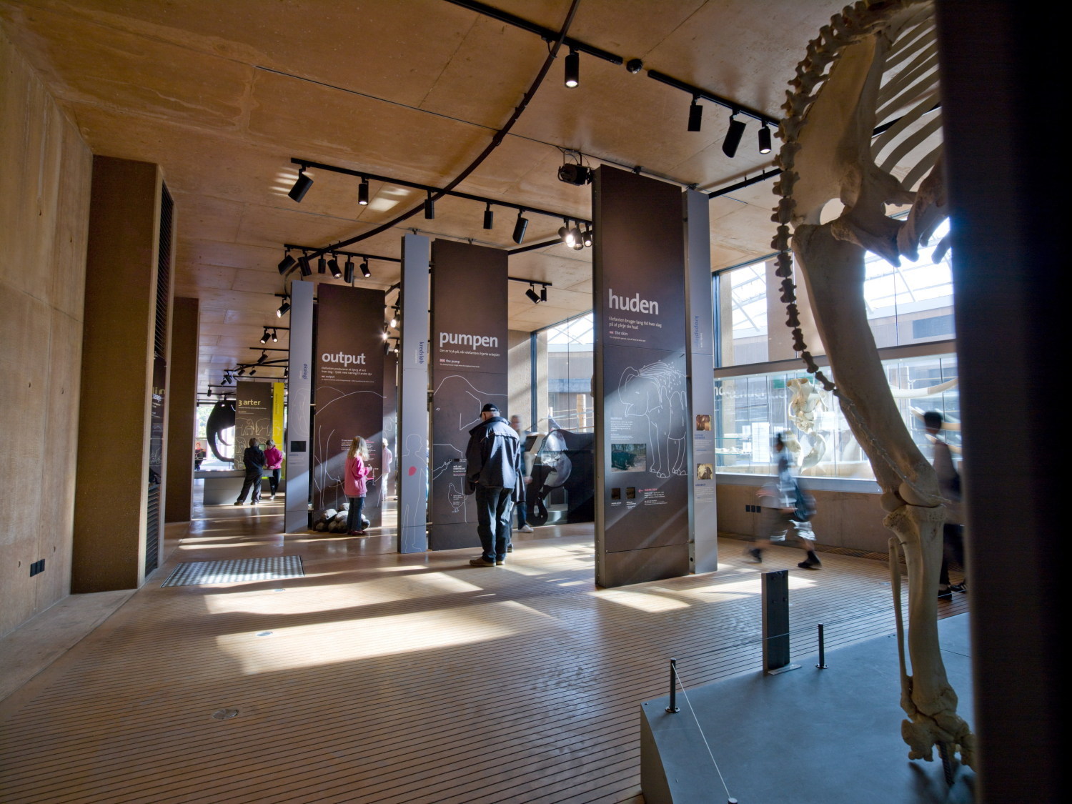 Gallery of Elephant House / Foster + Partners - 14