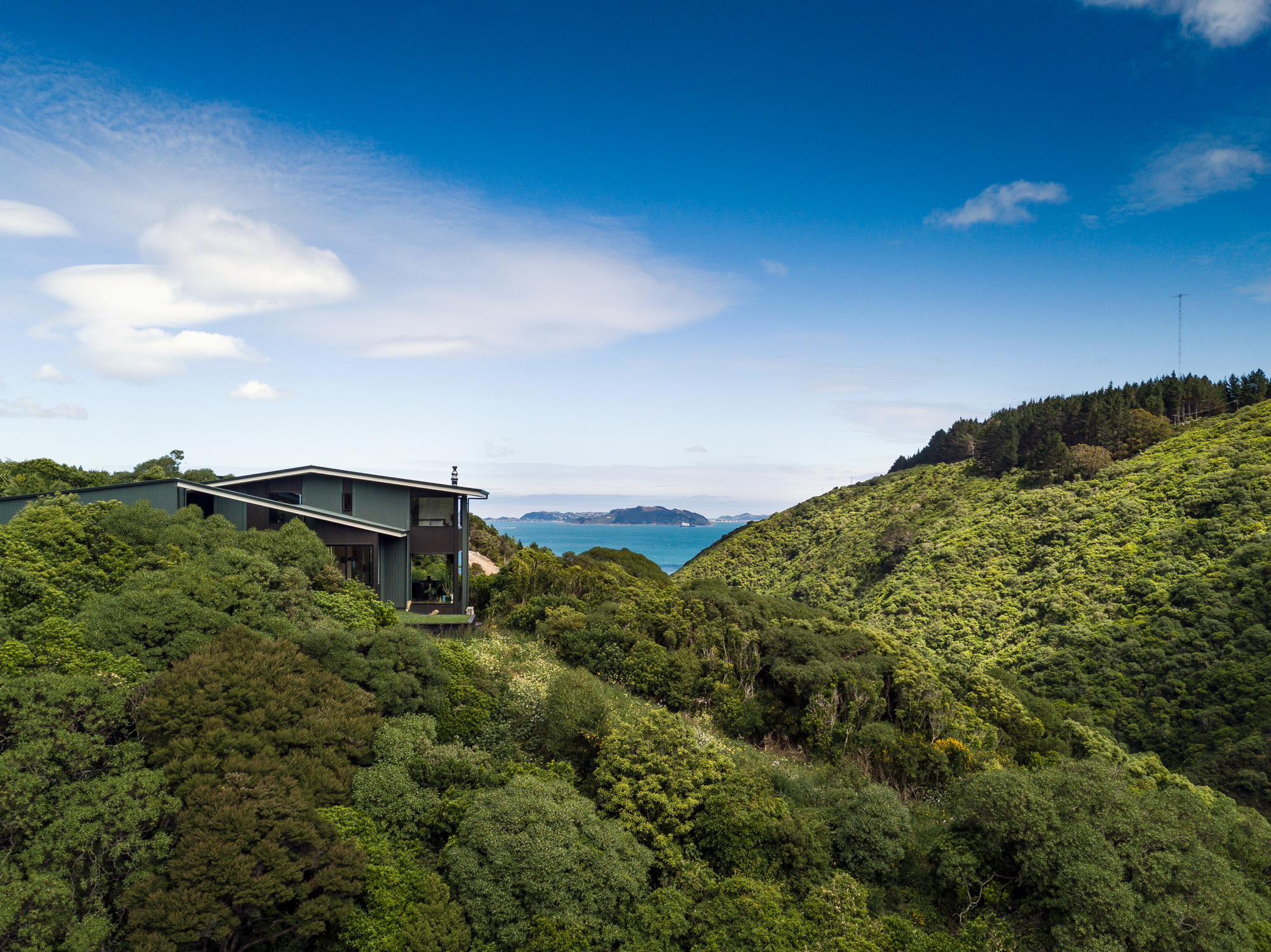 Gallery of Korokoro Bush House / Parsonson Architects - 1