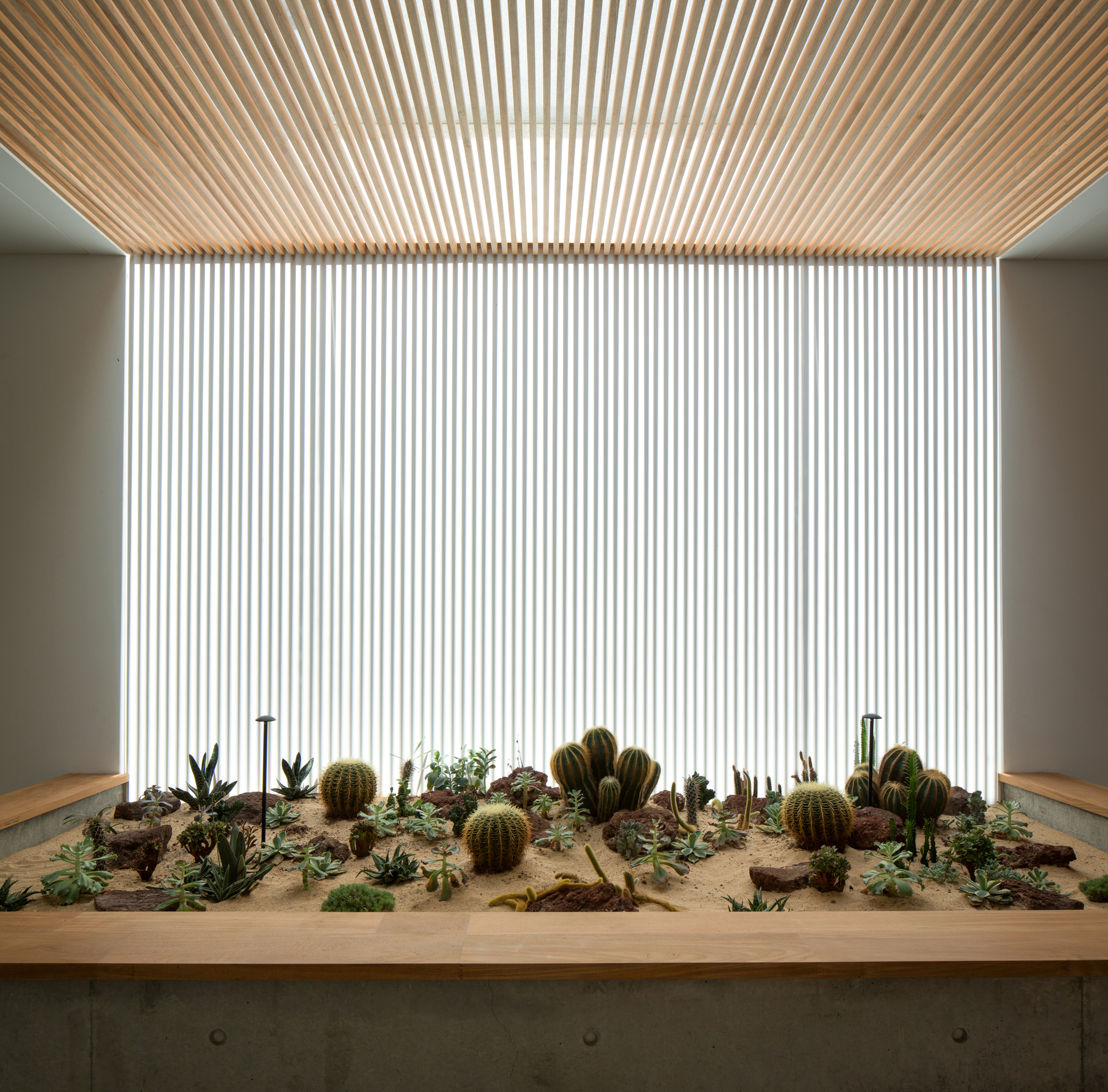 Gallery of Hikari House / Pranala Associates - 3