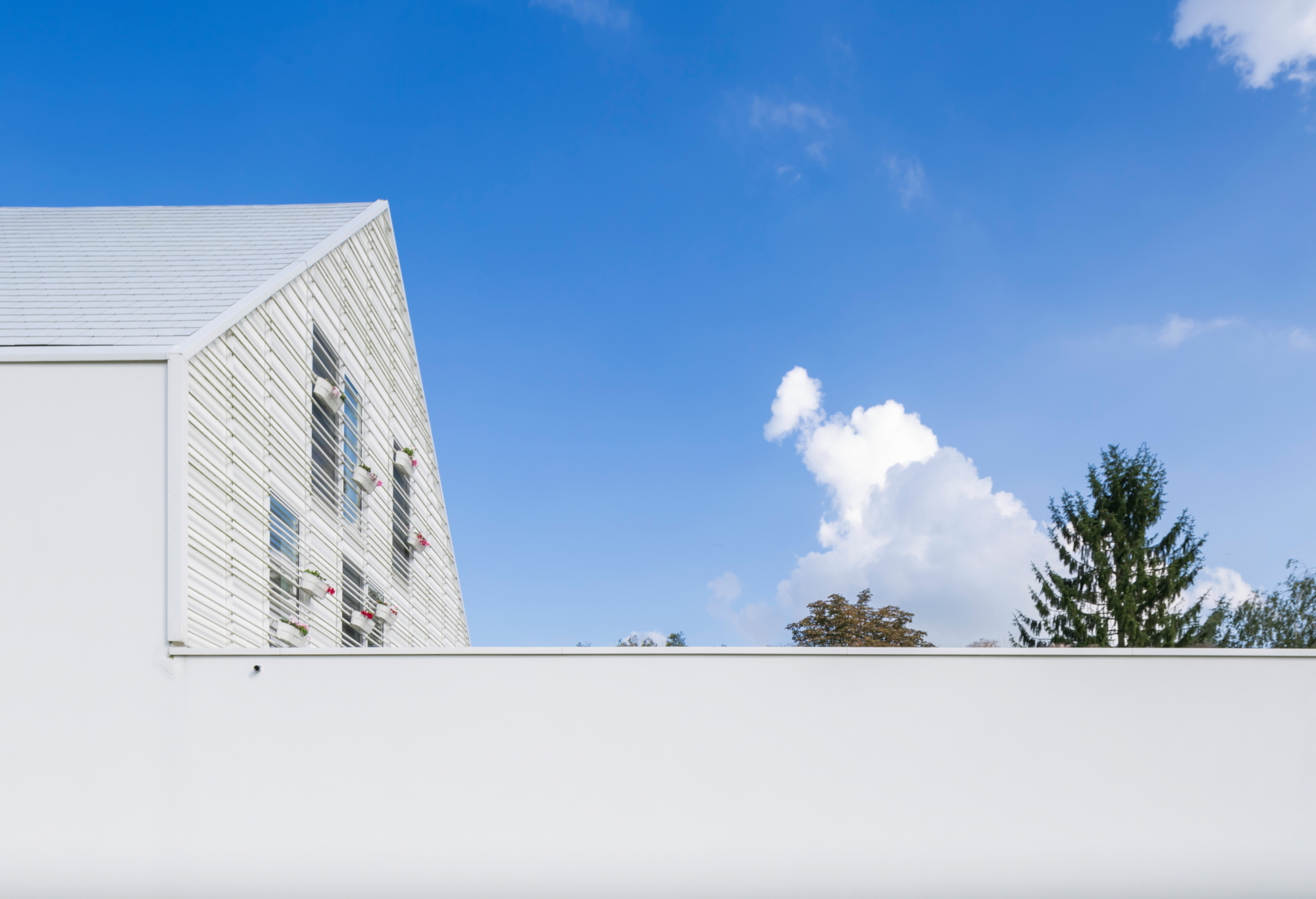 Gallery of House CR / dmvA - 45