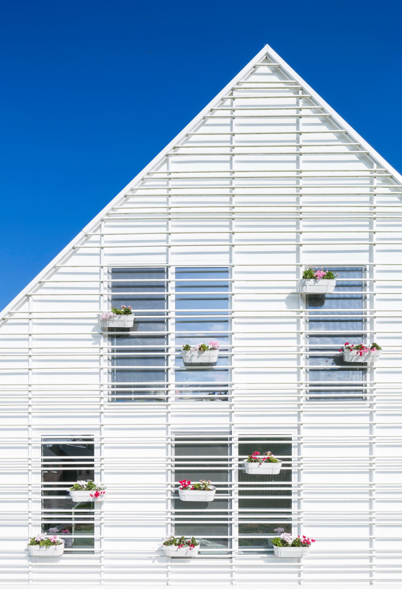 Gallery of House CR / dmvA - 44