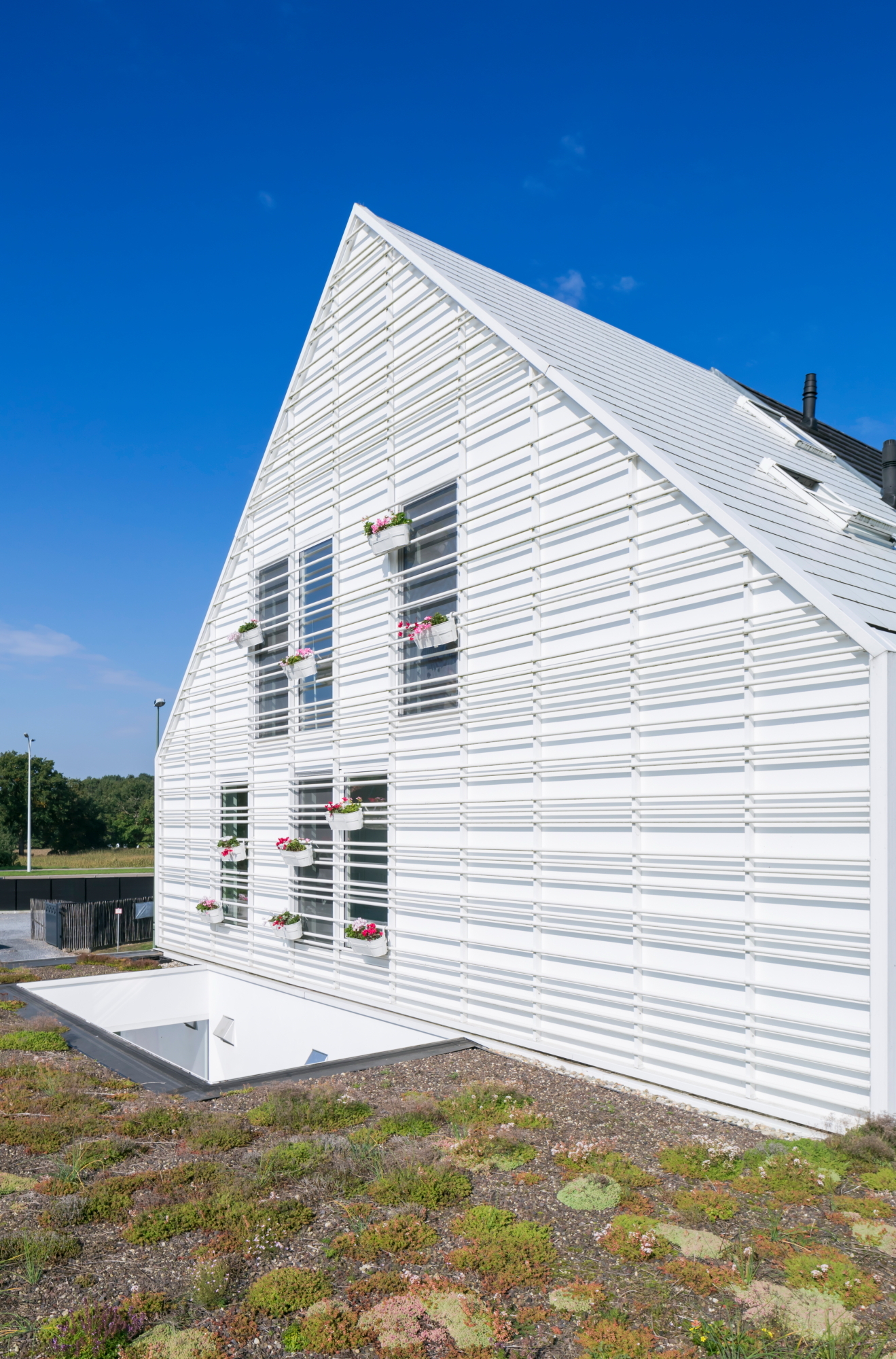 Gallery of House CR / dmvA - 8