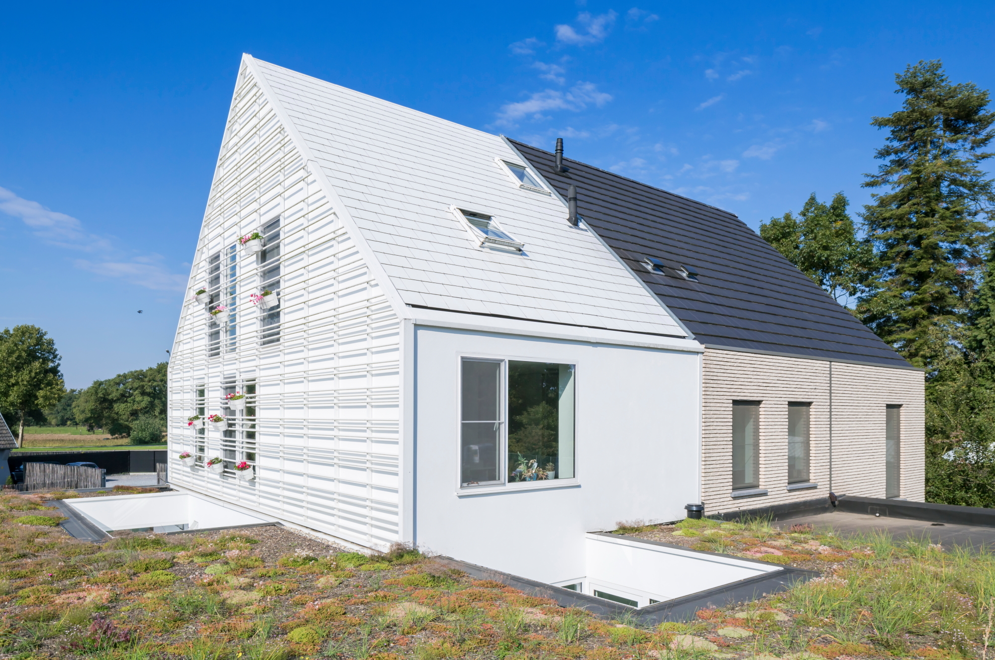 Gallery of House CR / dmvA - 35