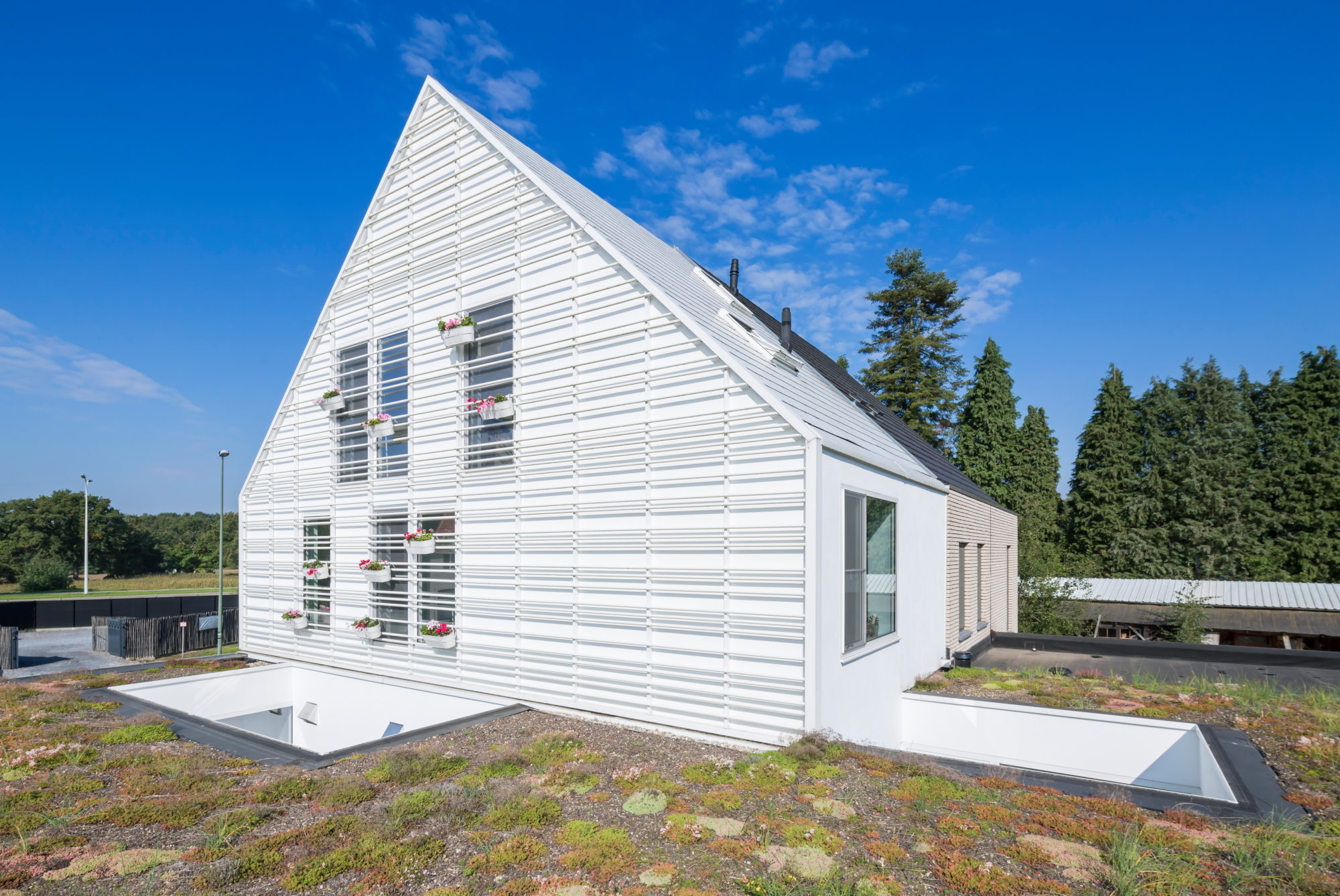 Gallery of House CR / dmvA - 33