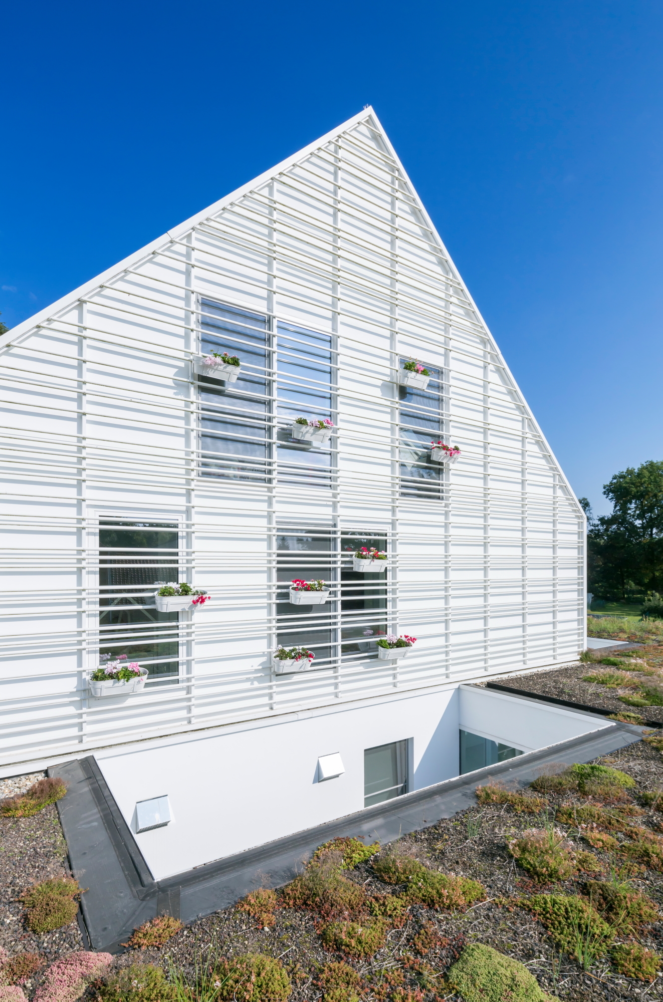 Gallery of House CR / dmvA - 36