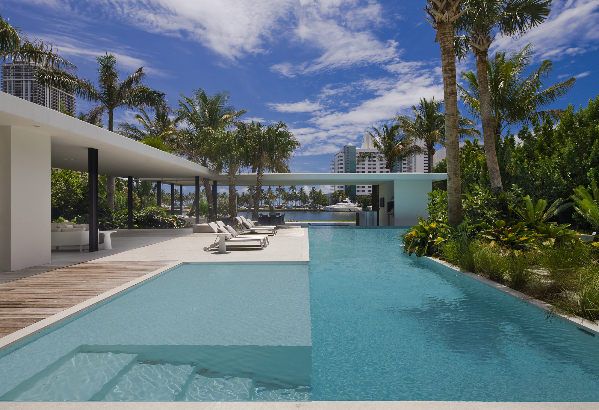 Gallery of Pine Tree / SAOTA - 16