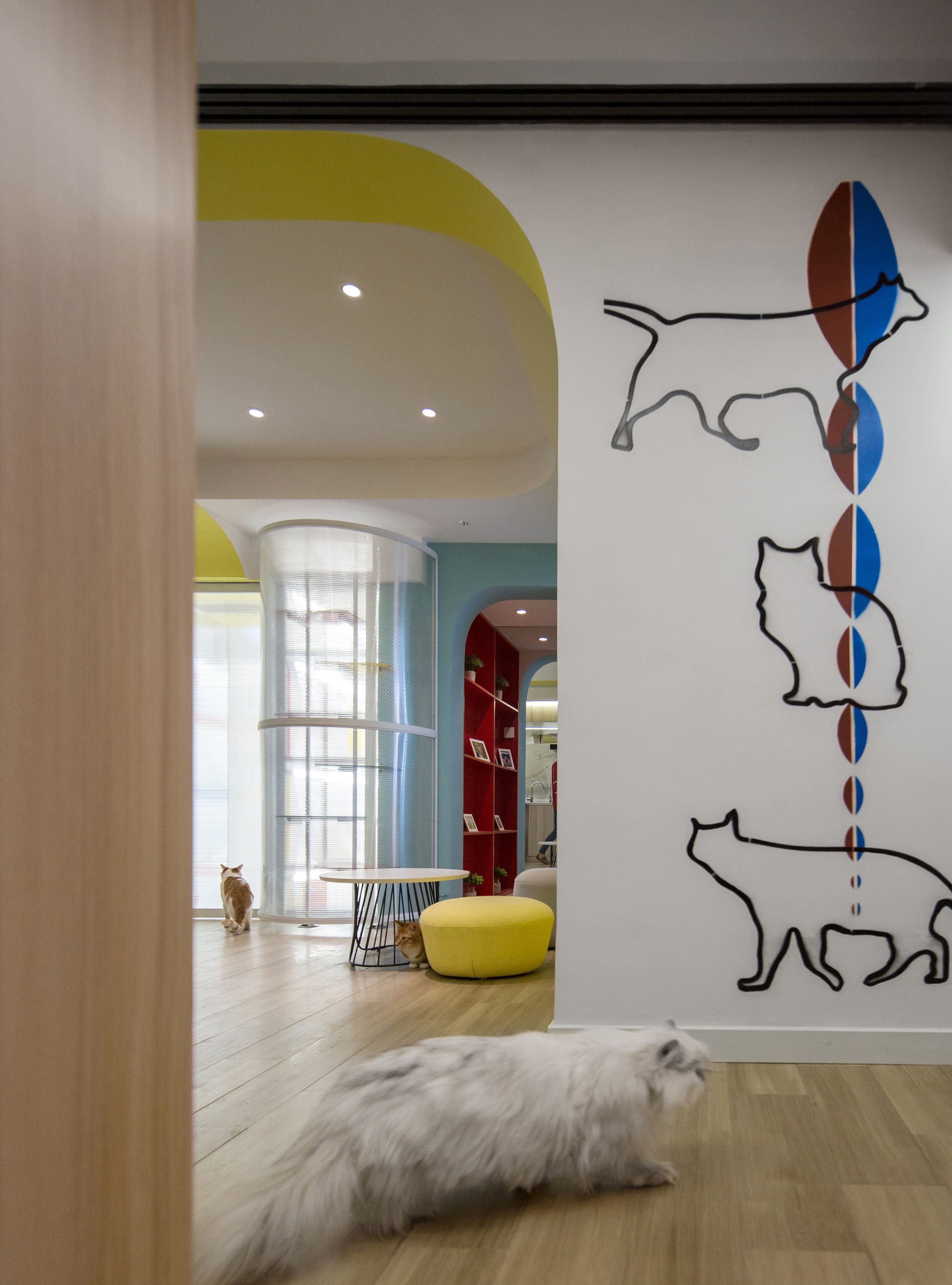 Gallery of Home of Pets / HDD - 22